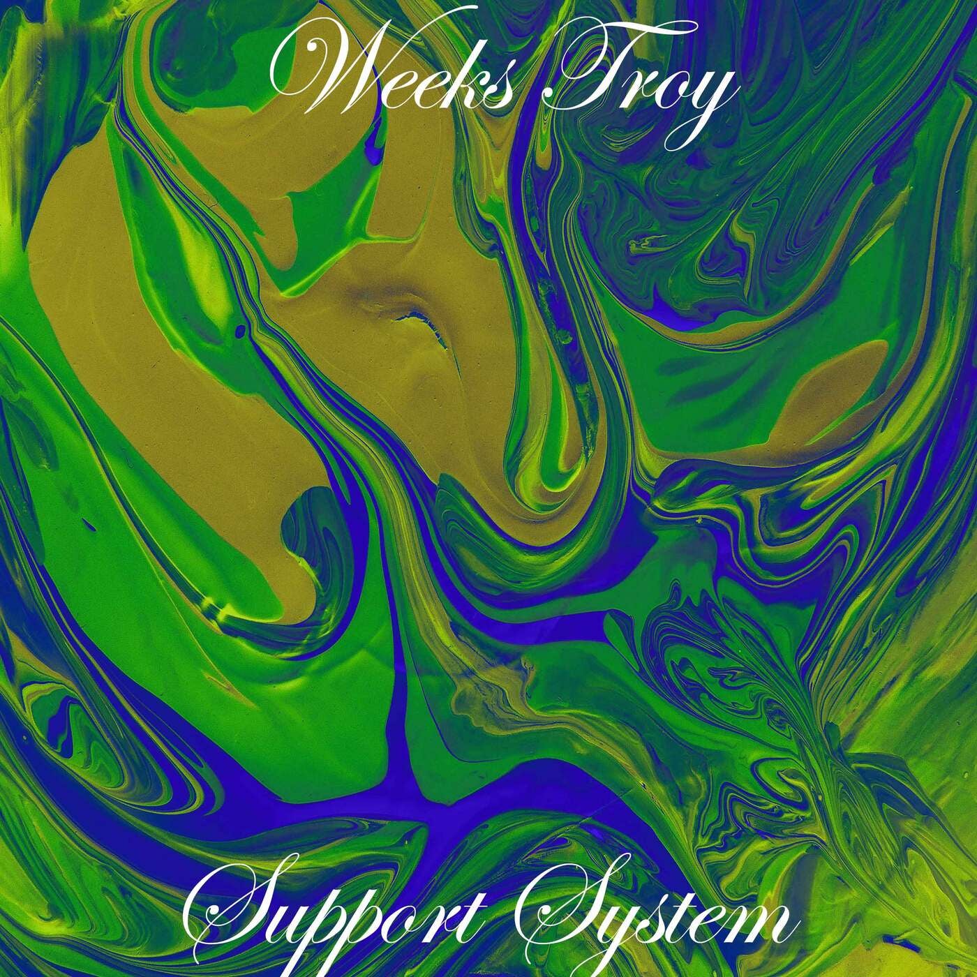 Support System by Weeks Troy on Beatsource
