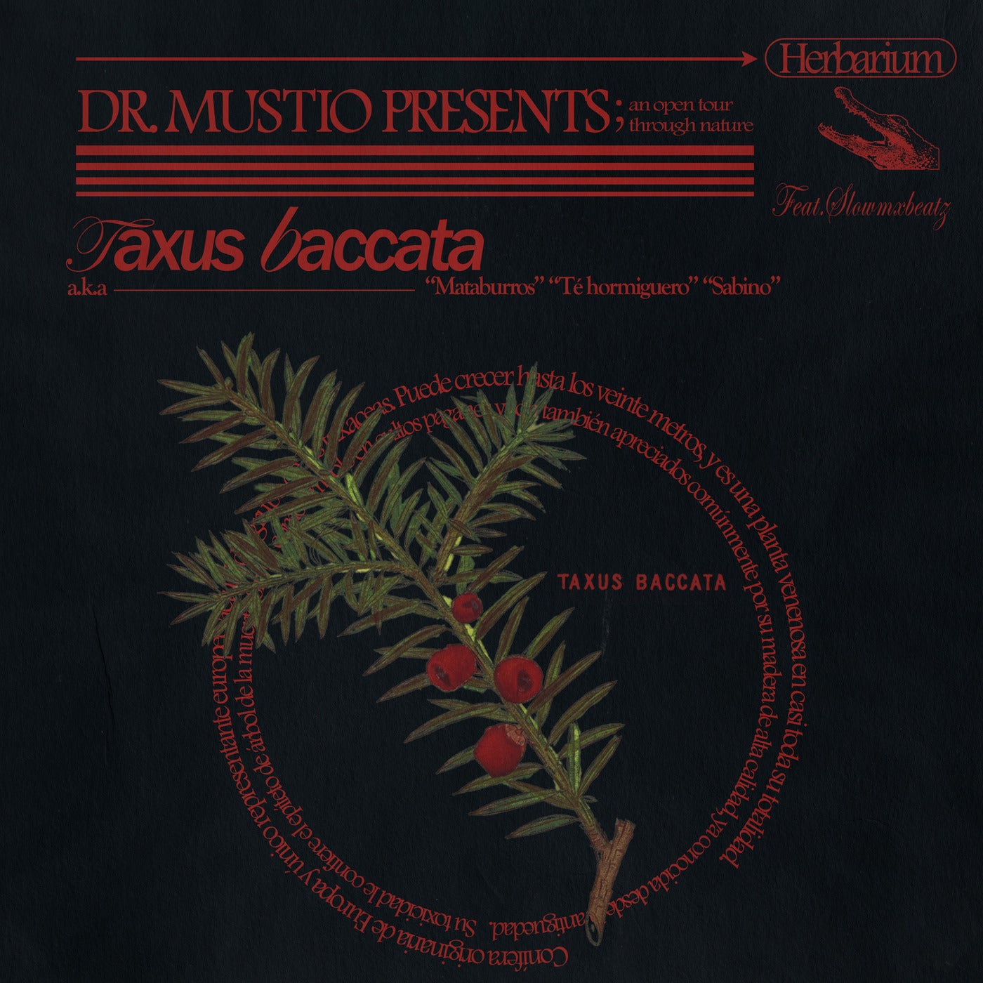 Taxus baccata // Mataburros by Dr. Mustio and SLOWMXBEATZ on Beatsource