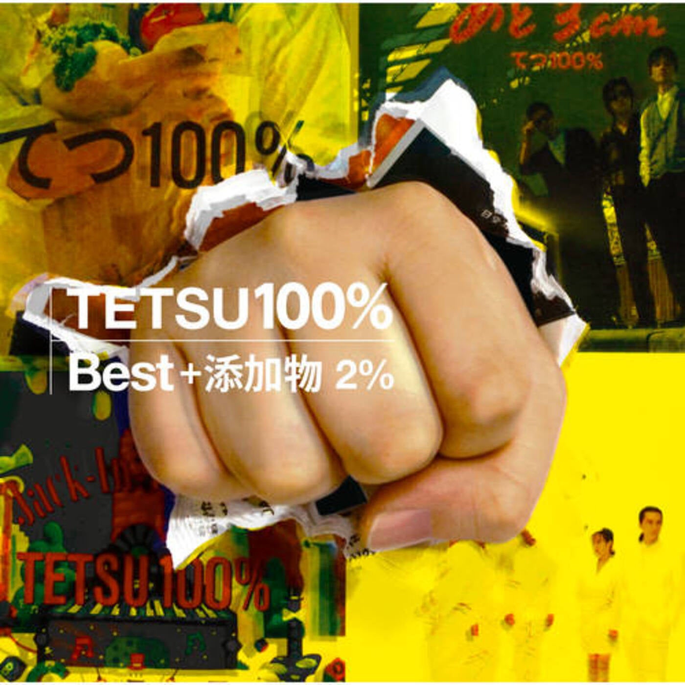 Tetsu 100% Best Tenkabutsu 2% by Tetsu100% on Beatsource