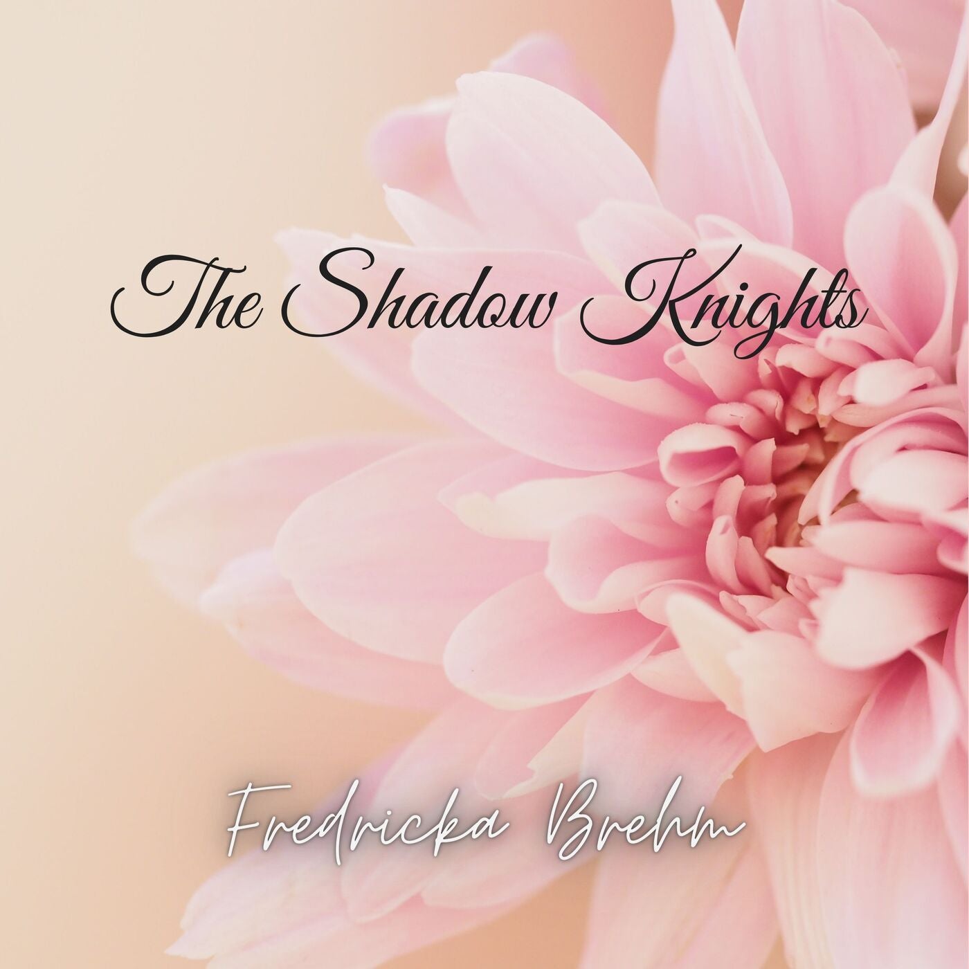 The Shadow Knights by Fredricka Brehm on Beatsource
