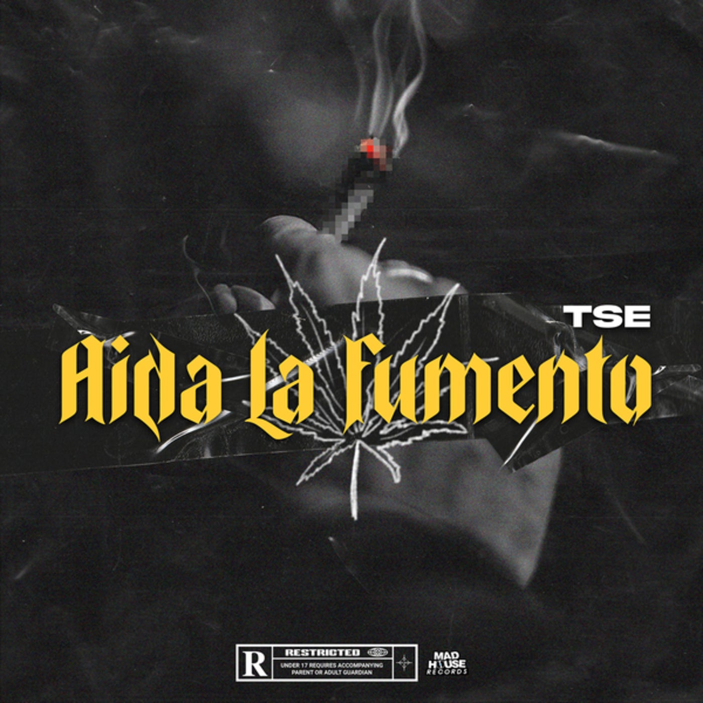 AIDA LA FUMENTO by Tse on Beatsource