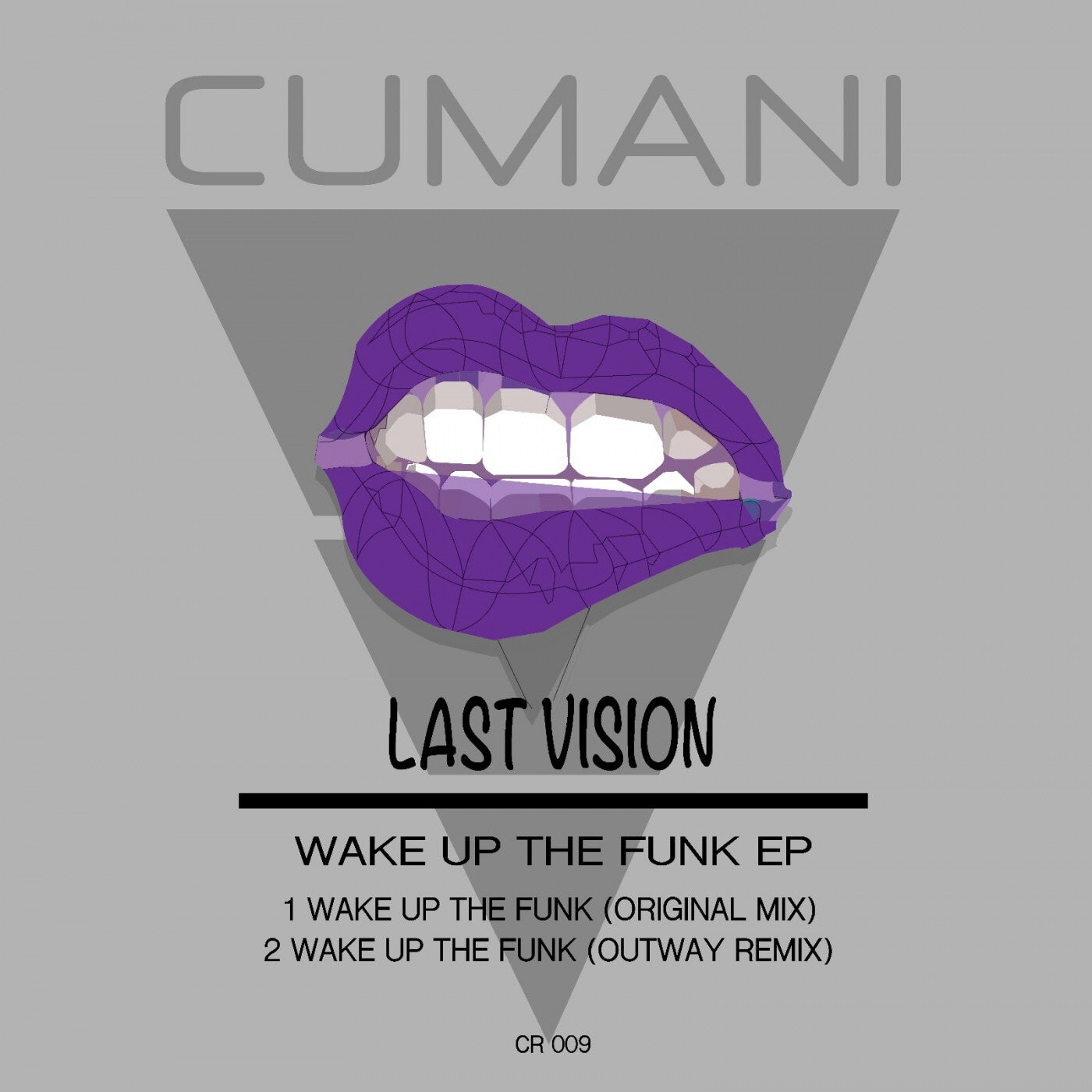Wake Up The Funk EP by Last Vision on Beatsource
