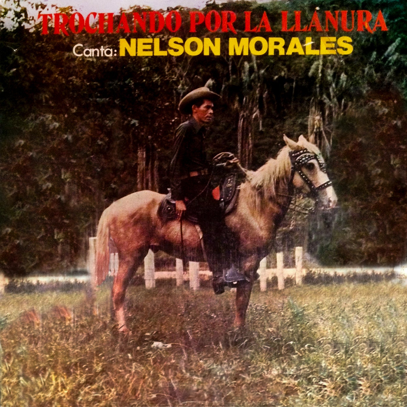 Trochando por la Llanura by Nelson Morales on Beatsource