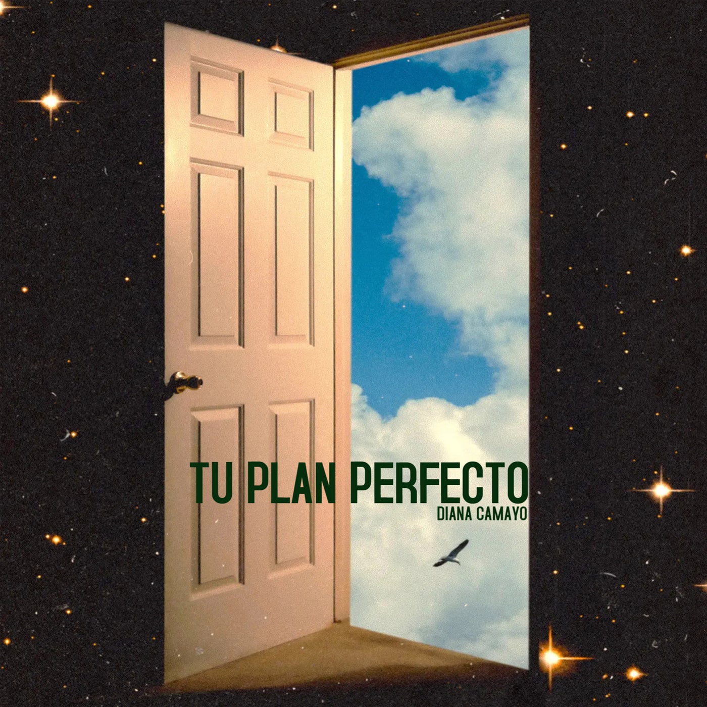 Tu Plan Perfecto by Diana Camayo on Beatsource