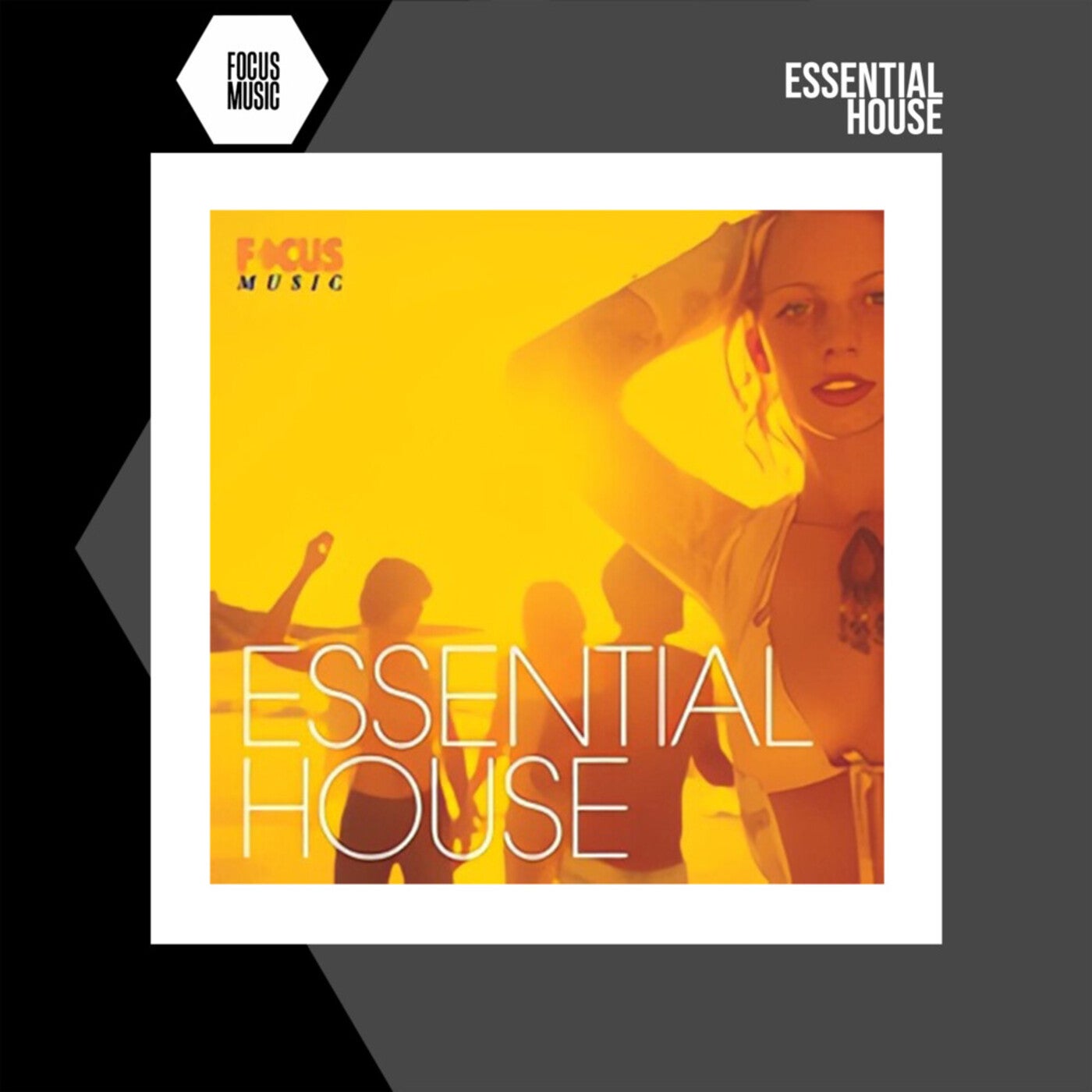Essential House by Bob Mitchell, Jez Pike, Jamie Kaleth, Steve John ...