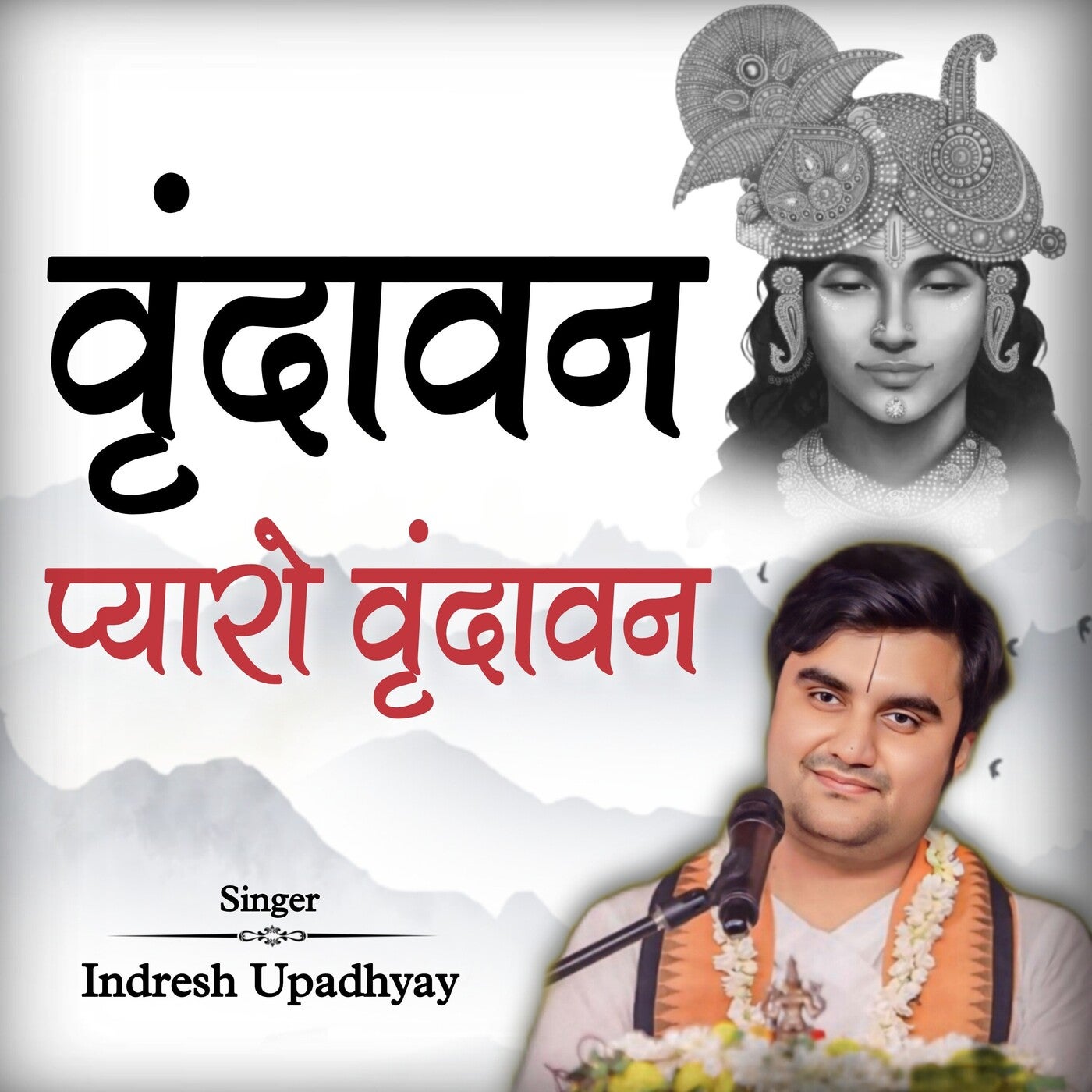 Vrindavan Pyaro Vrindavan by Indresh Upadhyay on Beatsource