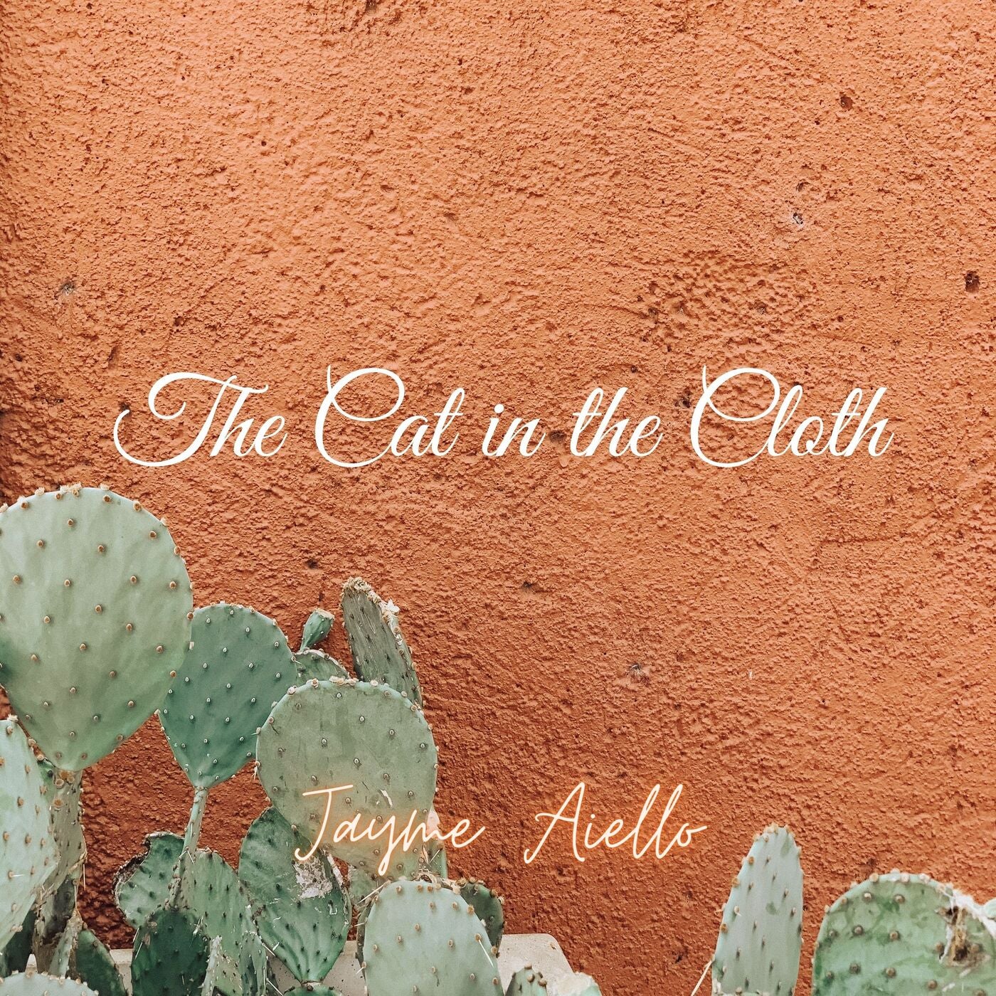 The Cat In The Cloth by Jayme Aiello on Beatsource