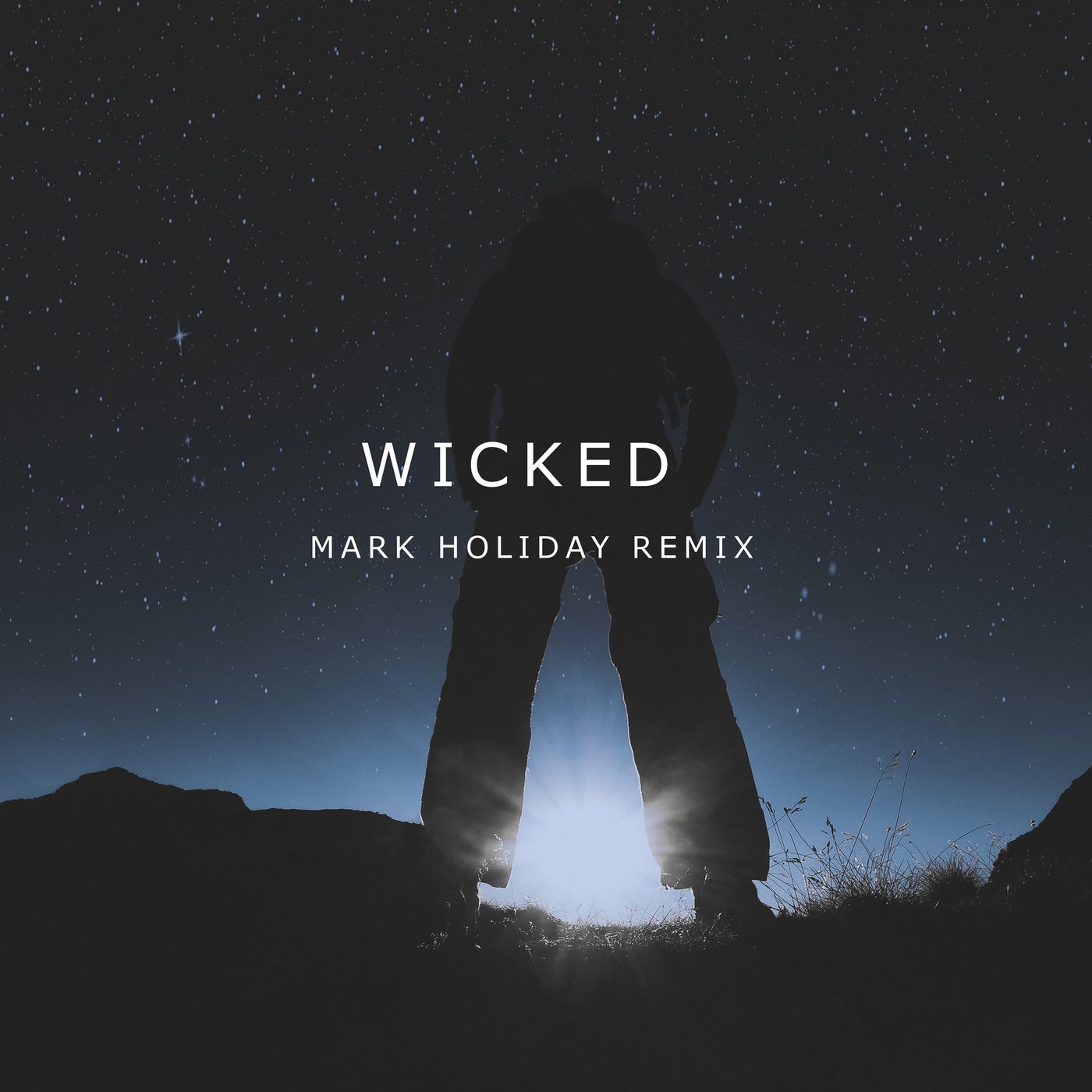 Wicked (Mark Holiday Remix) by DJ Trendsetter and Summer Son on Beatsource