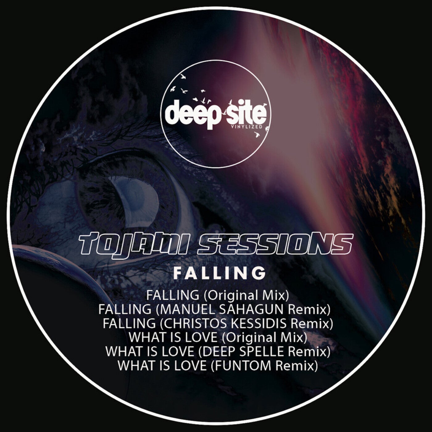 Falling by Tojami Sessions on Beatsource