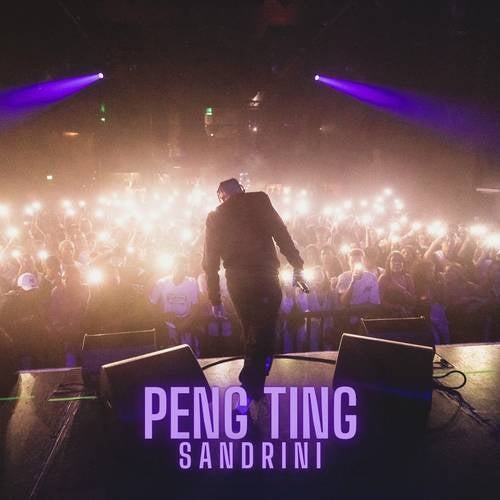 Peng Ting by Sandrini 2830 on Beatsource