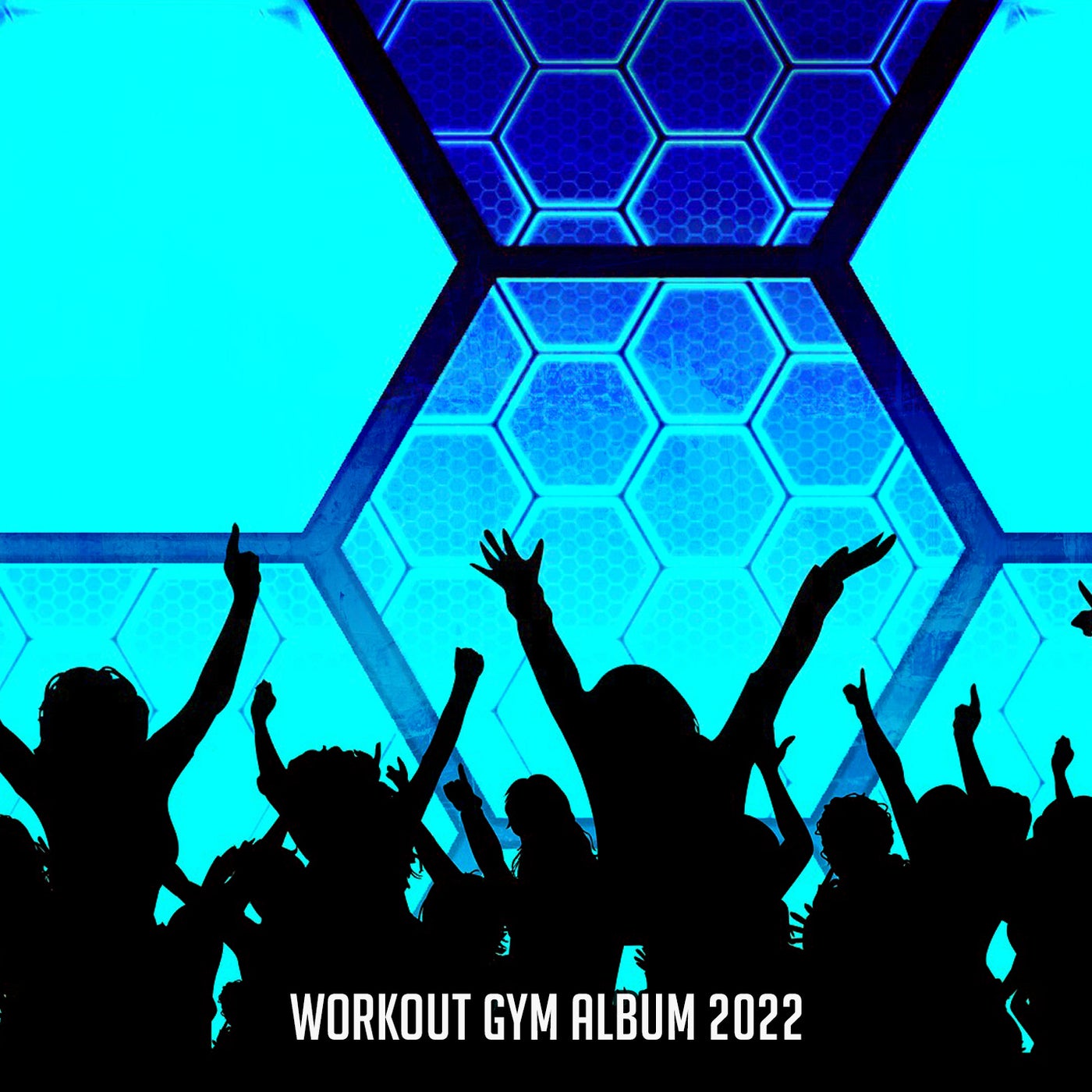 Workout Gym Album 2022 by Dance Hits 2014 on Beatsource