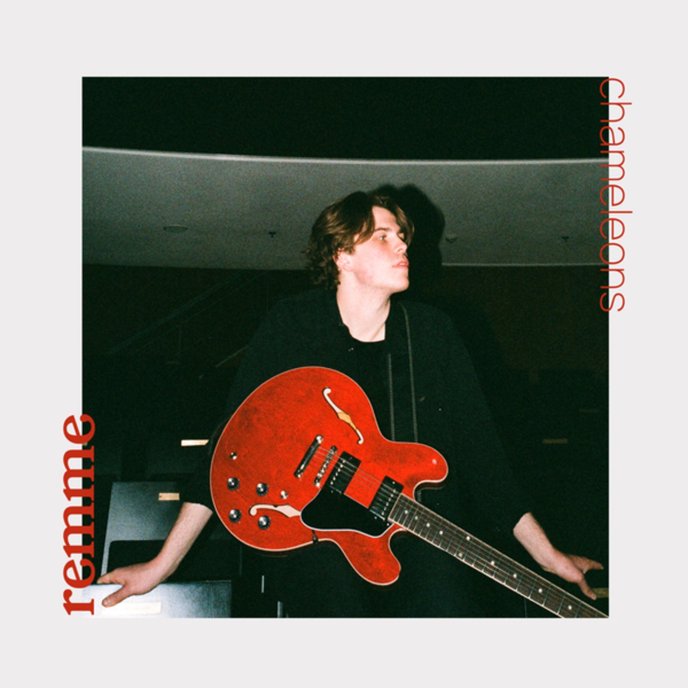 chameleons by remme on Beatsource