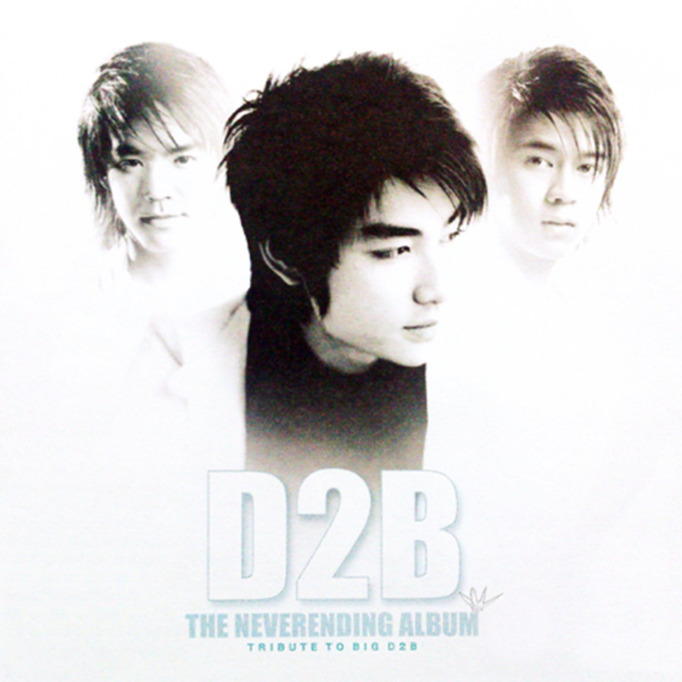 The Neverending Album by D2B on Beatsource
