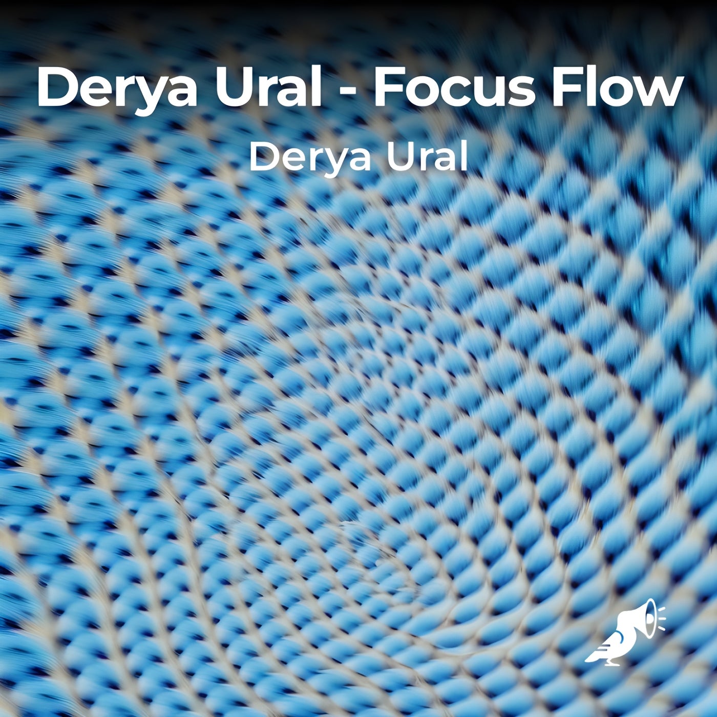 Focus Flow by Derya Ural on Beatsource