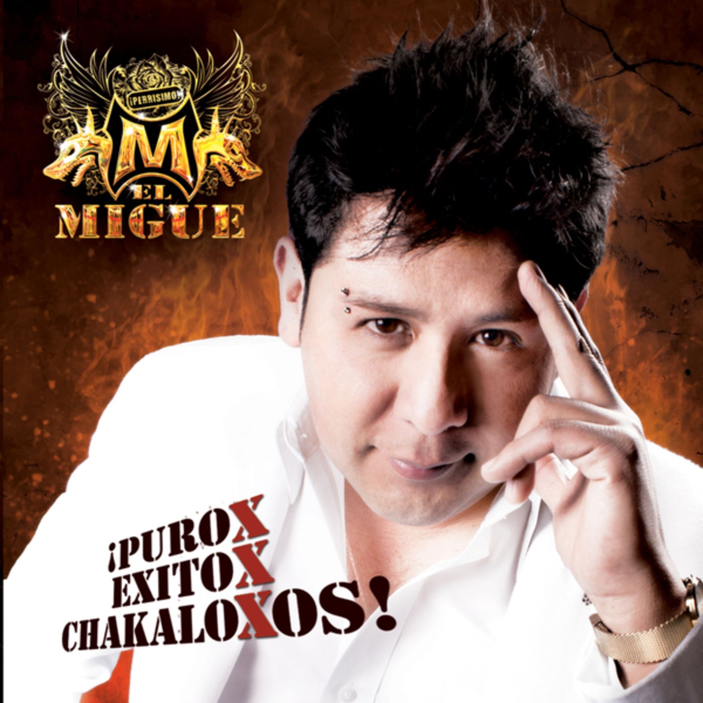 ¡Puros Éxitos Chacalosos! by El Migue on Beatsource