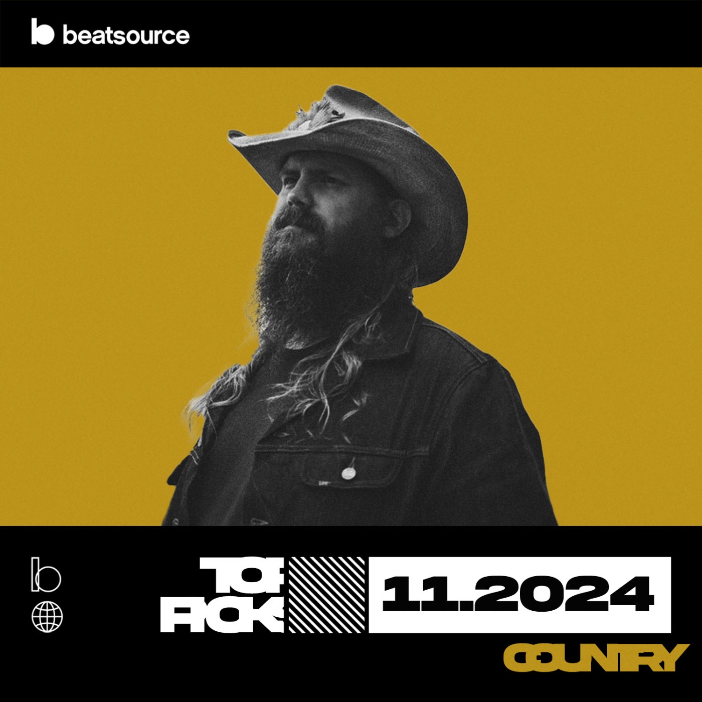 Country Top Picks - November 2024 Playlist for DJs on Beatsource