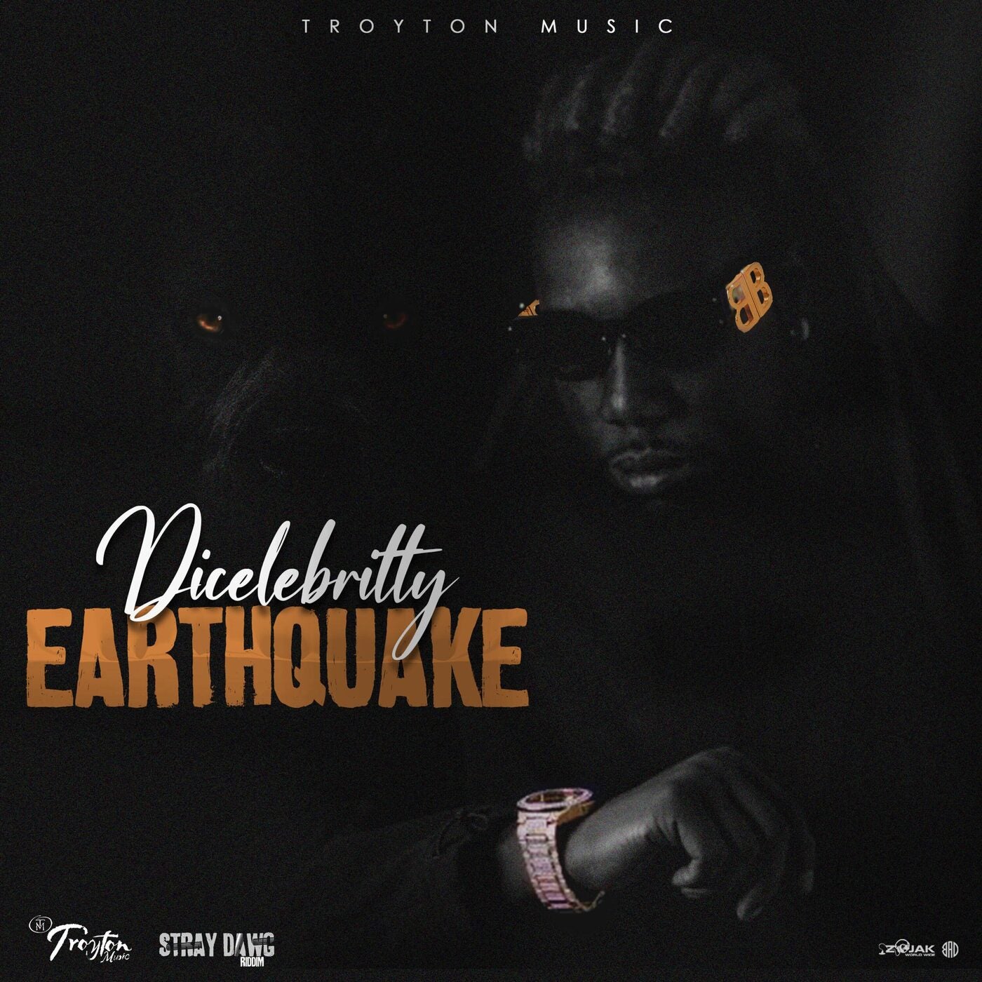 Earthquake by DiCelebrityy on Beatsource