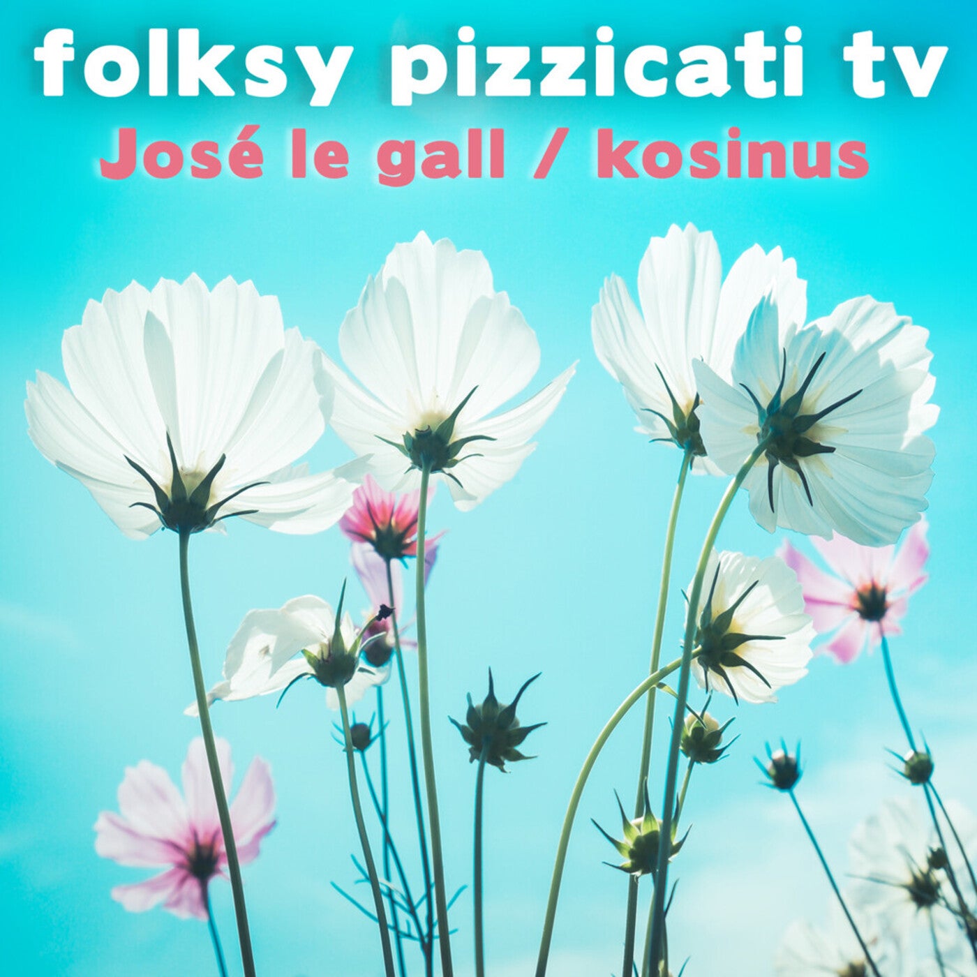 Folksy Pizzicati TV by Jose Le Gall on Beatsource