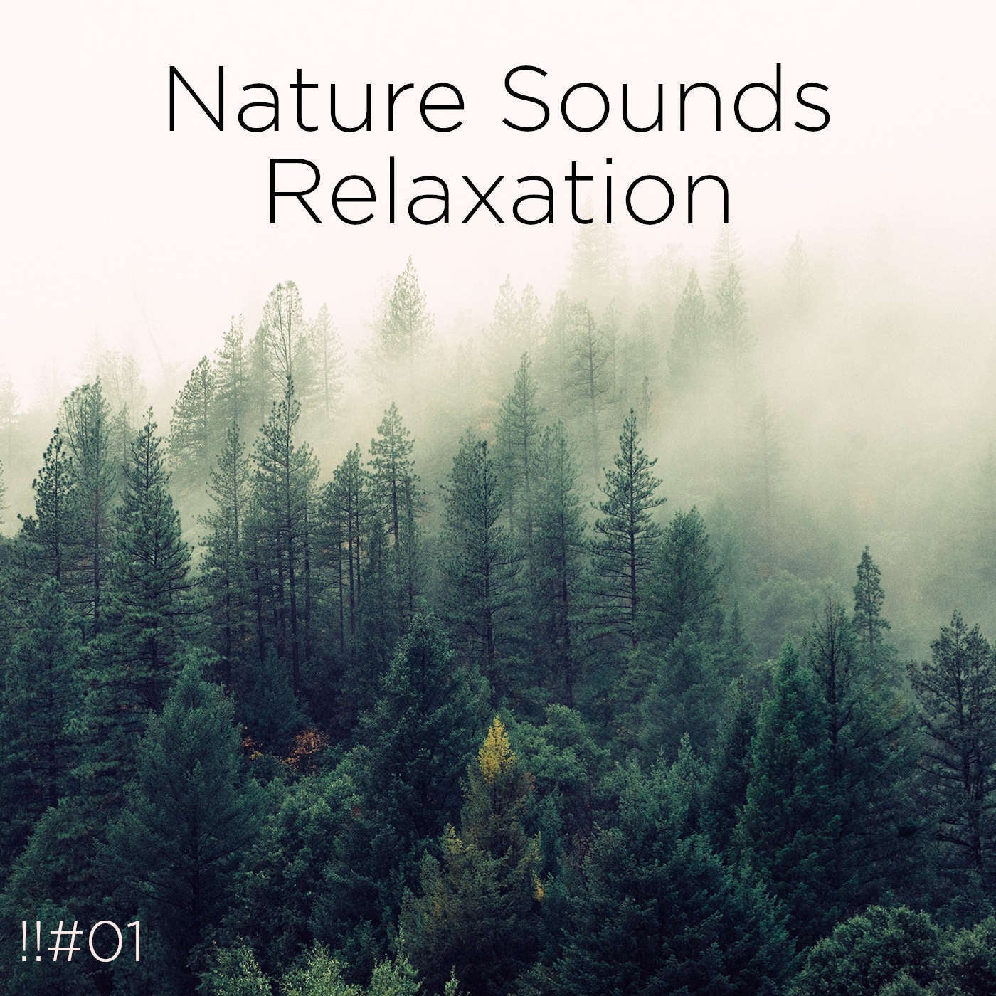 Nature Background White Noise by Nature Sounds and Nature Sounds Nature ...