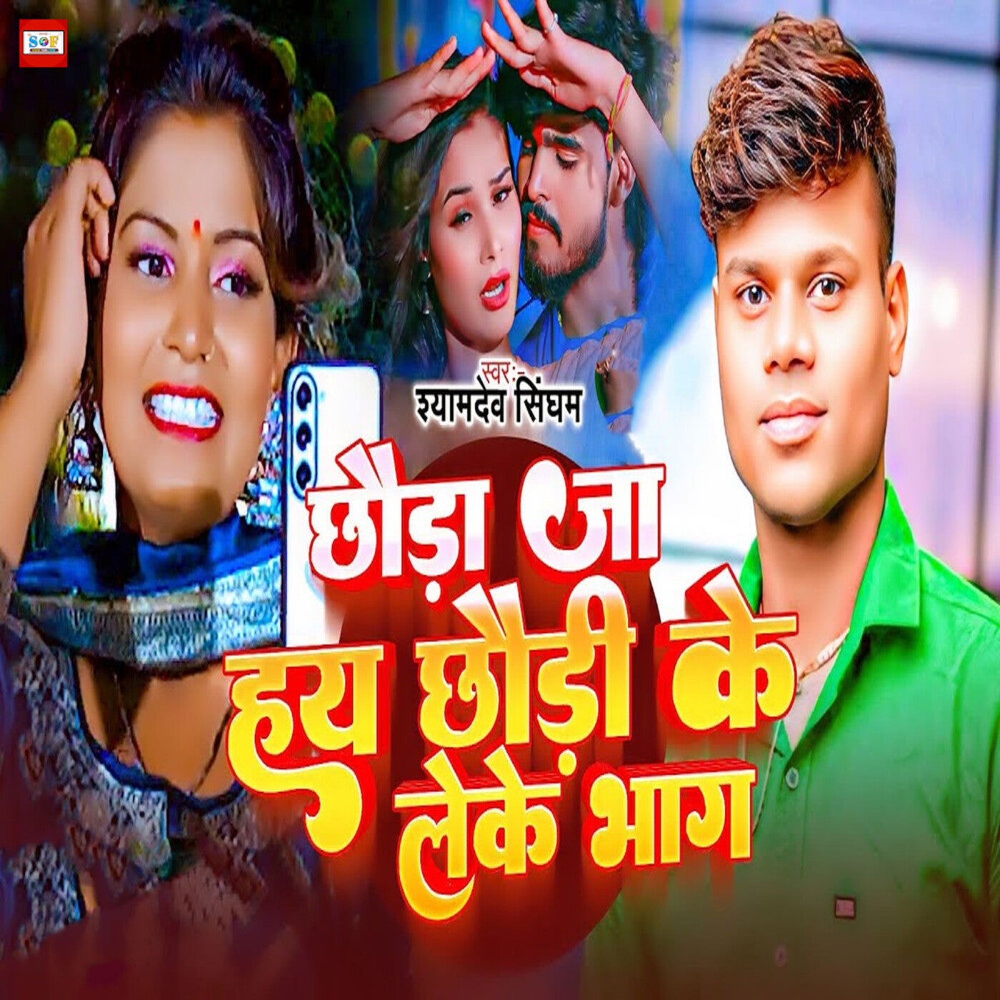 Chhauda Ja Hay Chhaudi Ke Leke Bhag by Shyamdev Singham on Beatsource