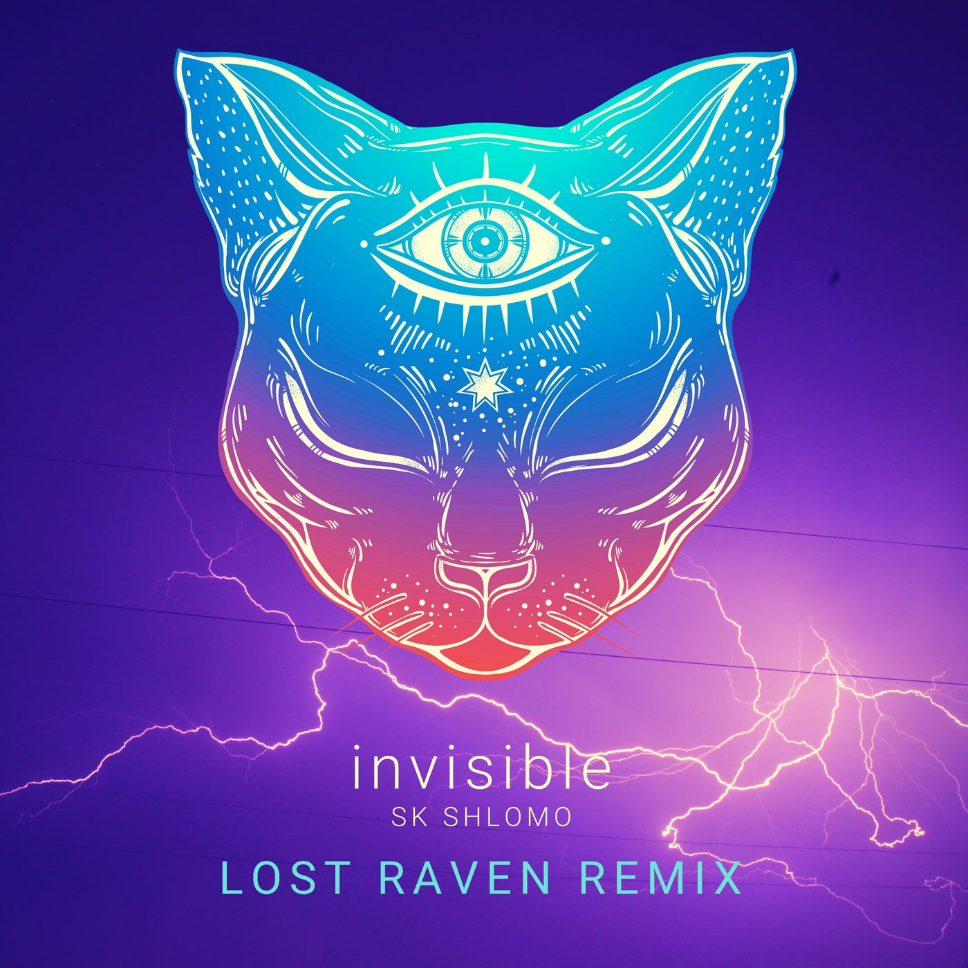 Invisible (Lost Raven Remix) by SK Shlomo on Beatsource