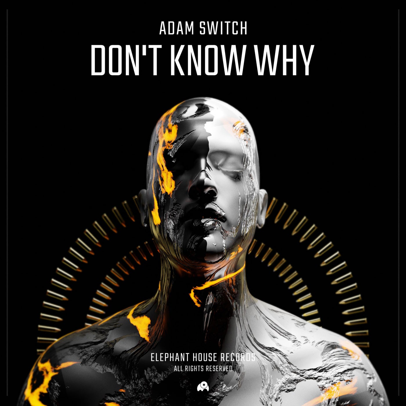 Don't Know Why by Adam Switch on Beatsource