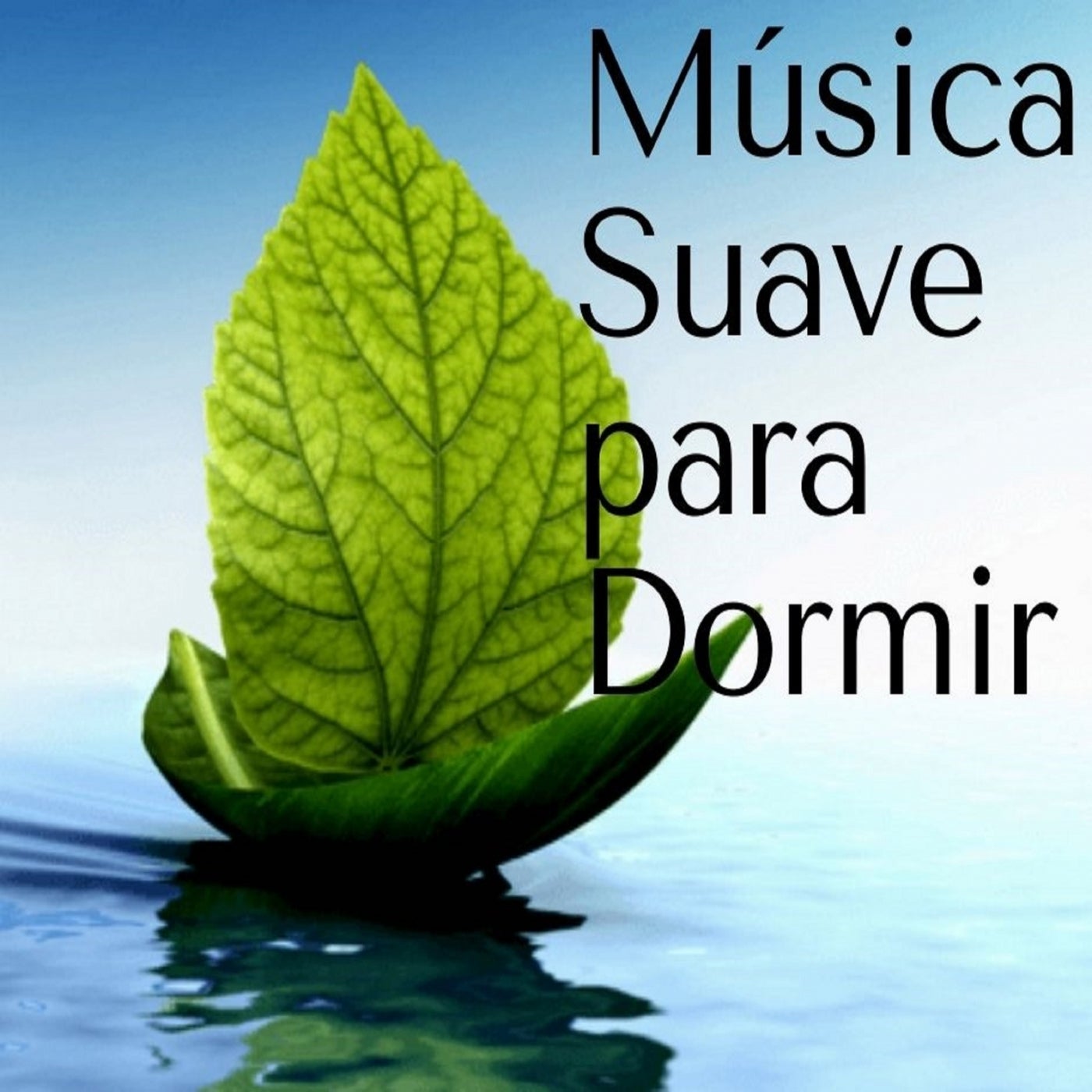 Vida Correcta by Musica Suave on Beatsource