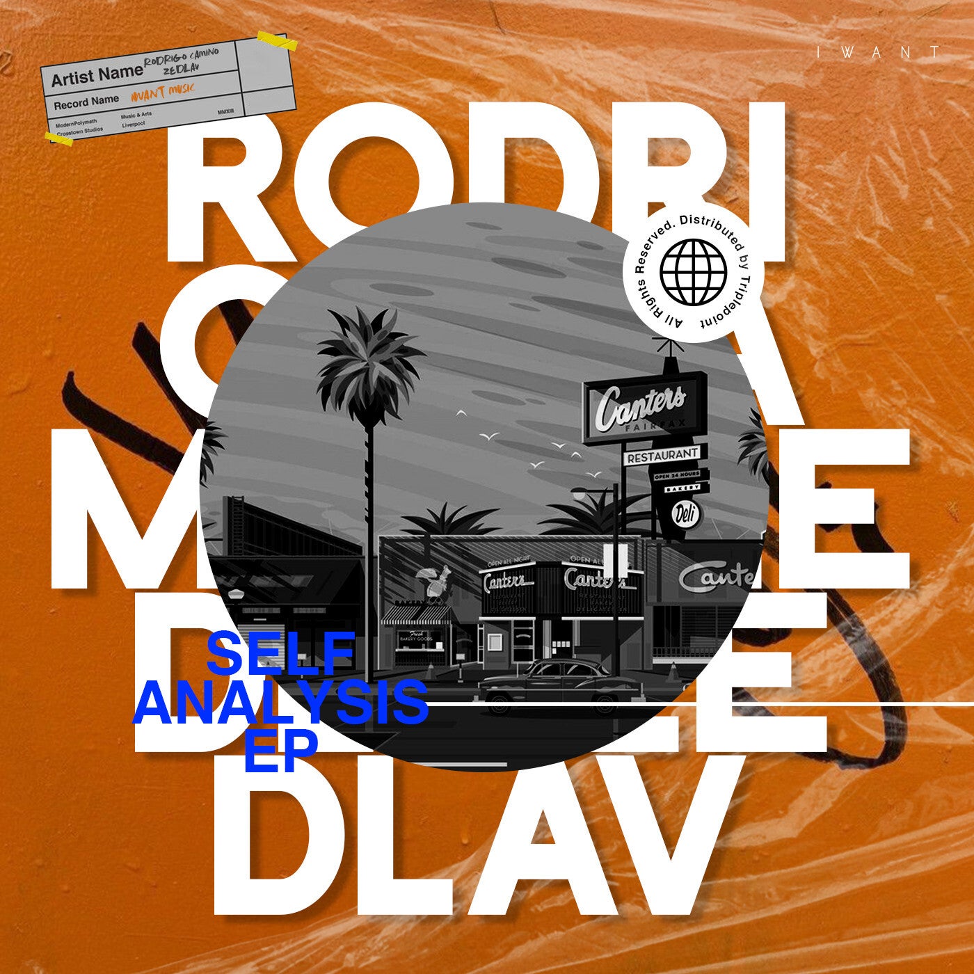 Self Analysis EP by Rodrigo Camino and Zedlav on Beatsource
