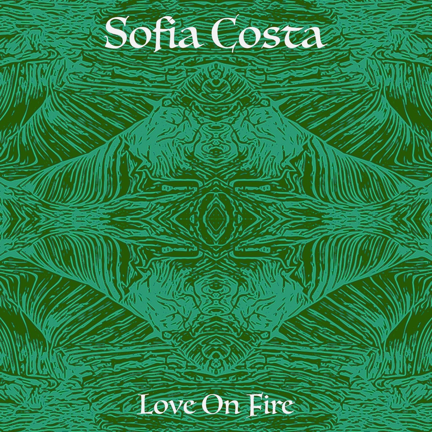 Invisible Dream by Sofia Costa on Beatsource