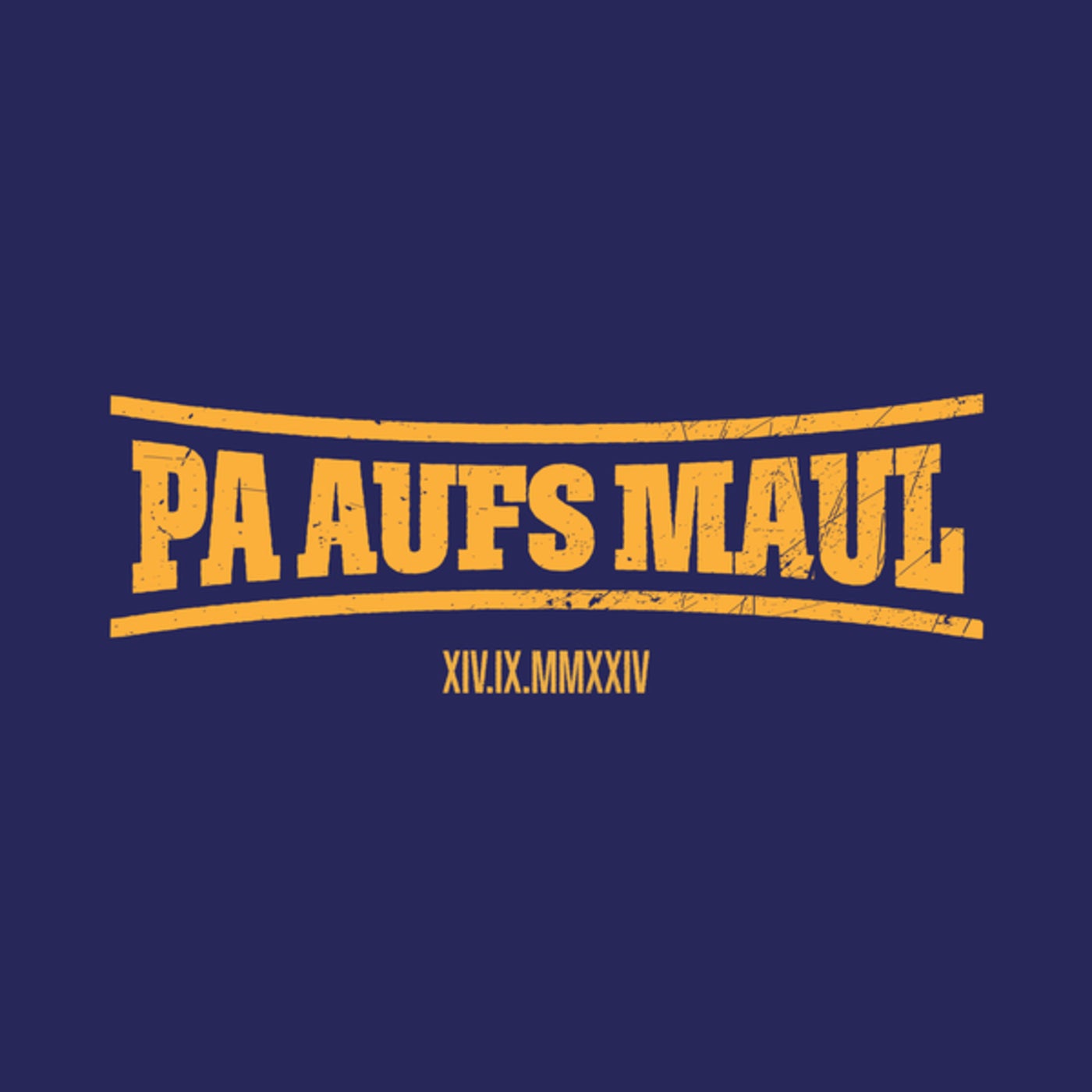 PA AUFS MAUL by Sido and Stefan Raab on Beatsource