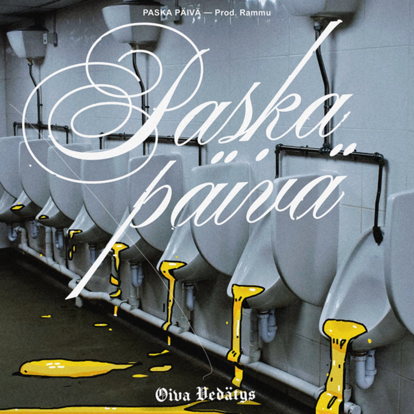 Paska päivä by Oiva Vedätys on Beatsource