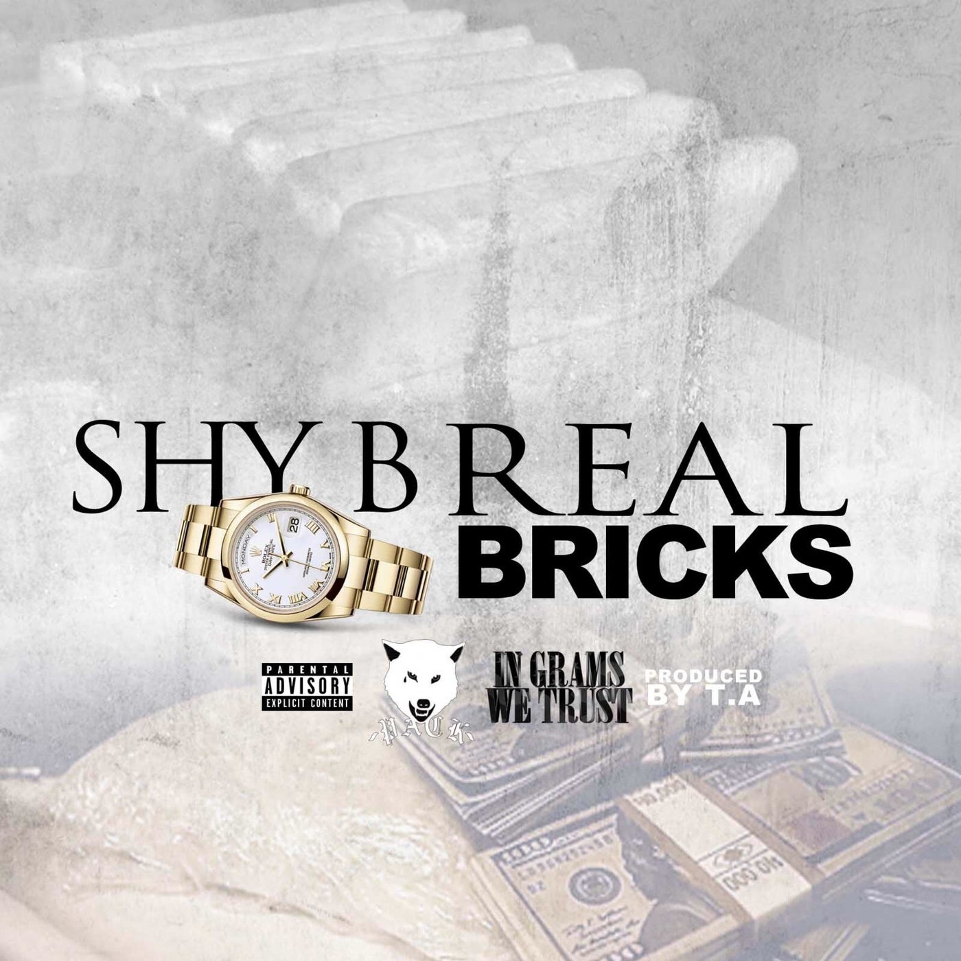 Real Bricks by Shy B. on Beatsource