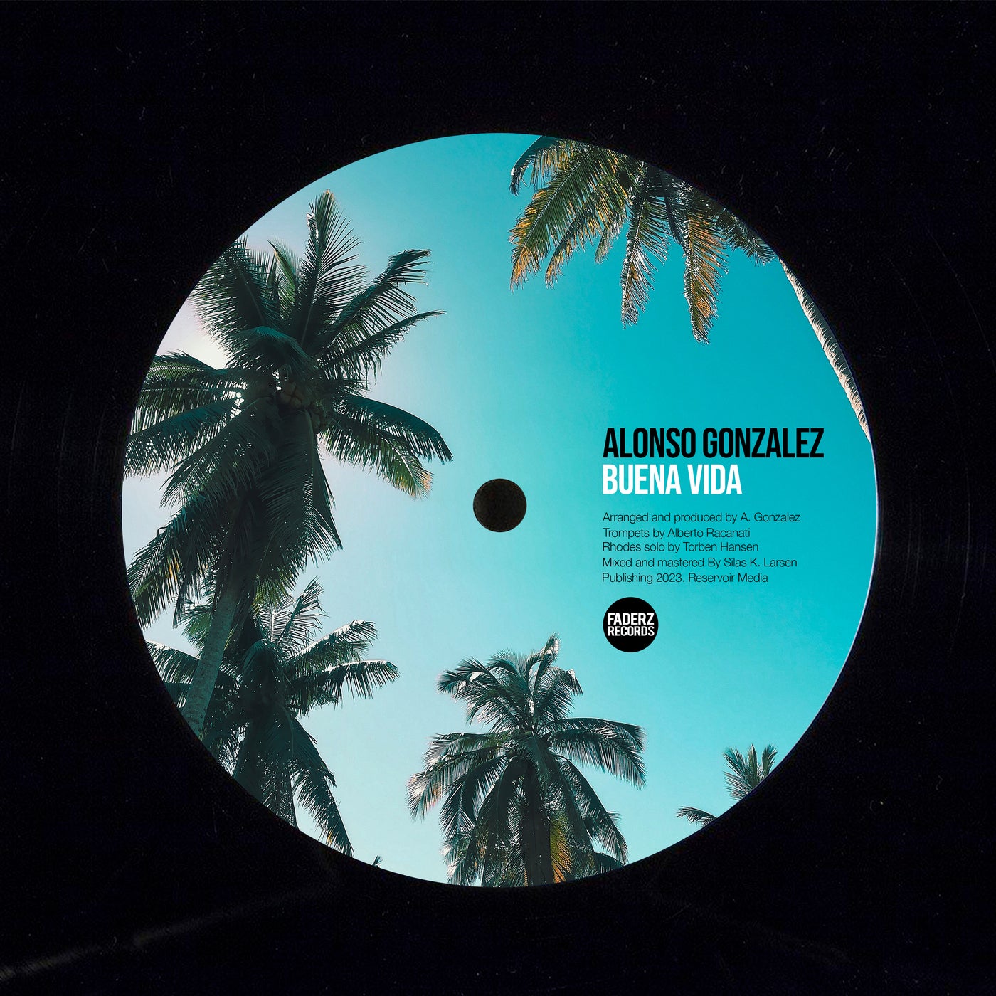 Buena Vida by Alonso Gonzalez on Beatsource