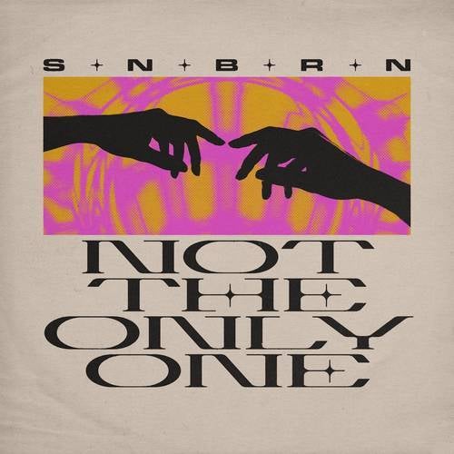Not The Only One (Extended Mix) by SNBRN on Beatsource