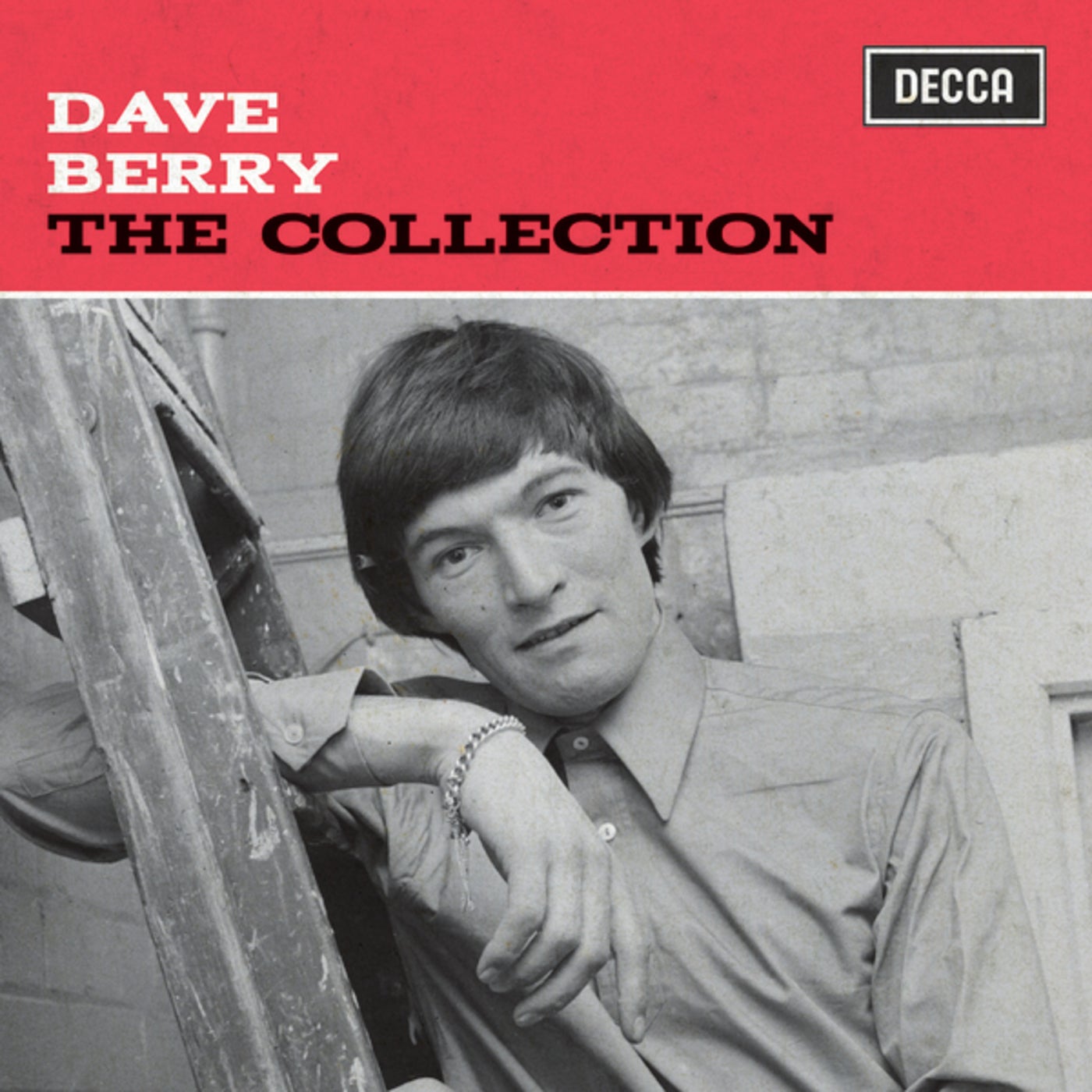 The Collection by Dave Berry and The Cruisers on Beatsource