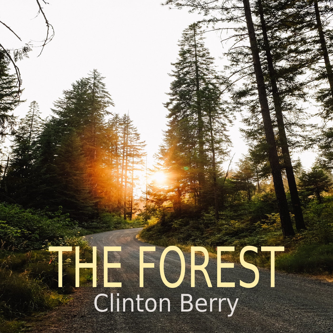 The Forest by Clinton Berry on Beatsource