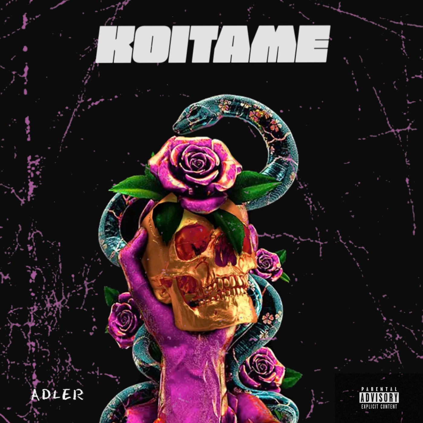 KOITAME by Adler and Ramoon on Beatsource