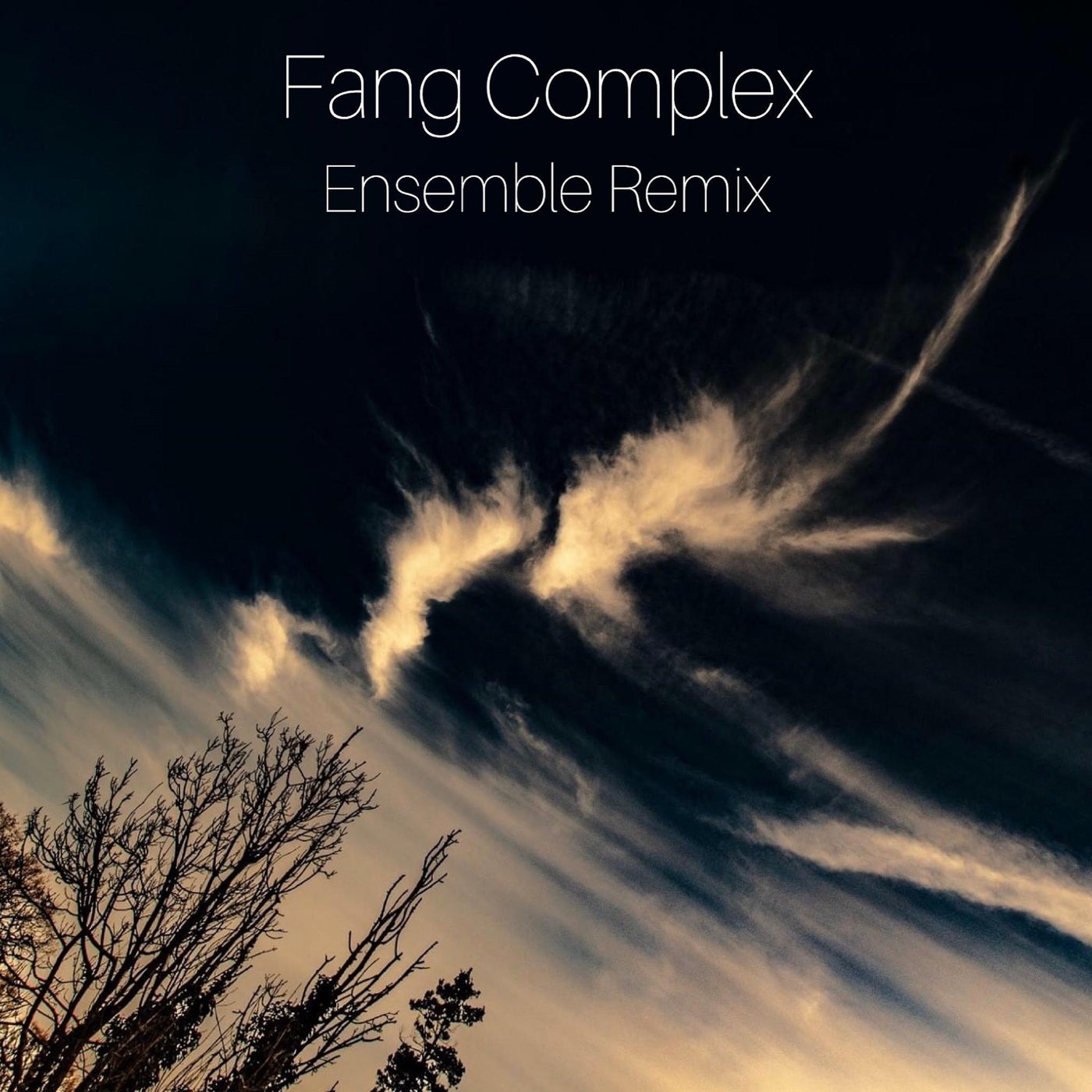 Ensemble Remix by Fang Complex on Beatsource