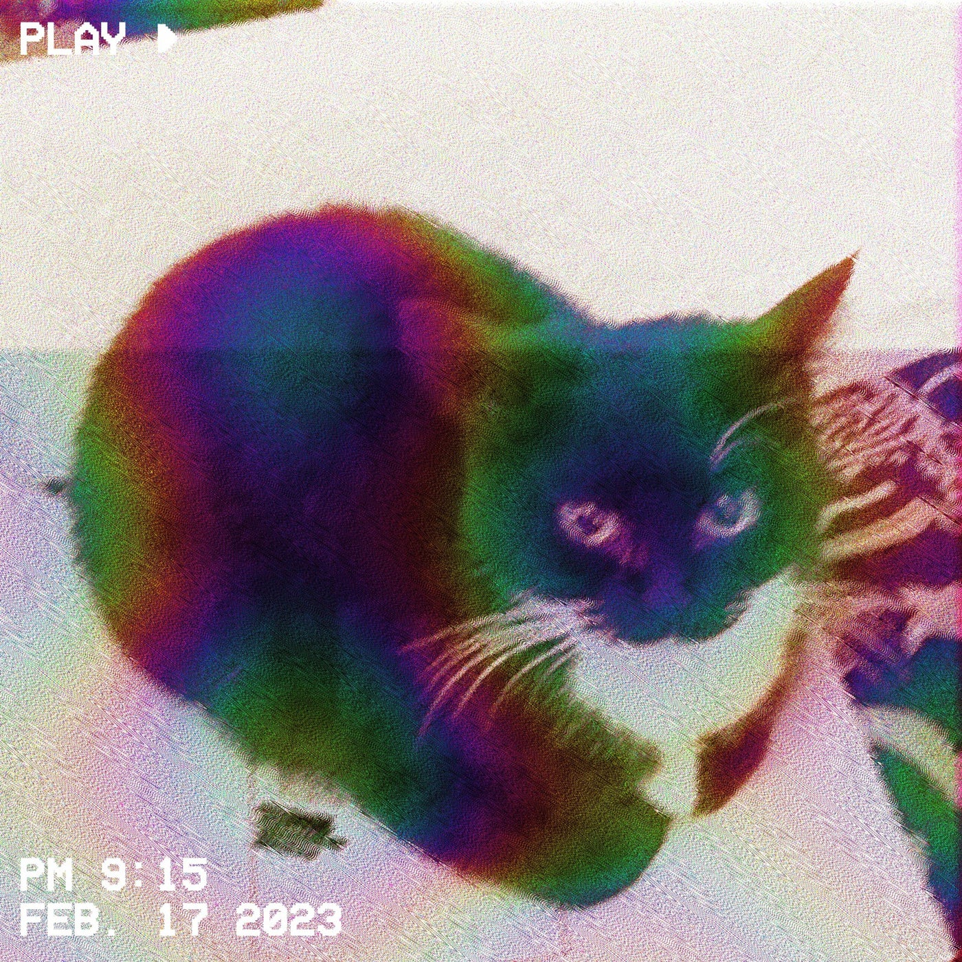 Maxwell The Drifting Cat by Dodgeraf on Beatsource