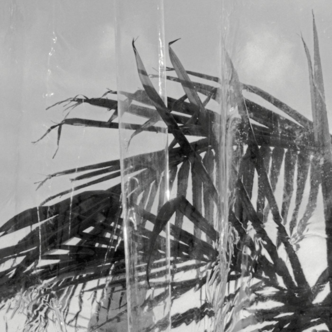 Space In The Palms by Tan Cologne on Beatsource