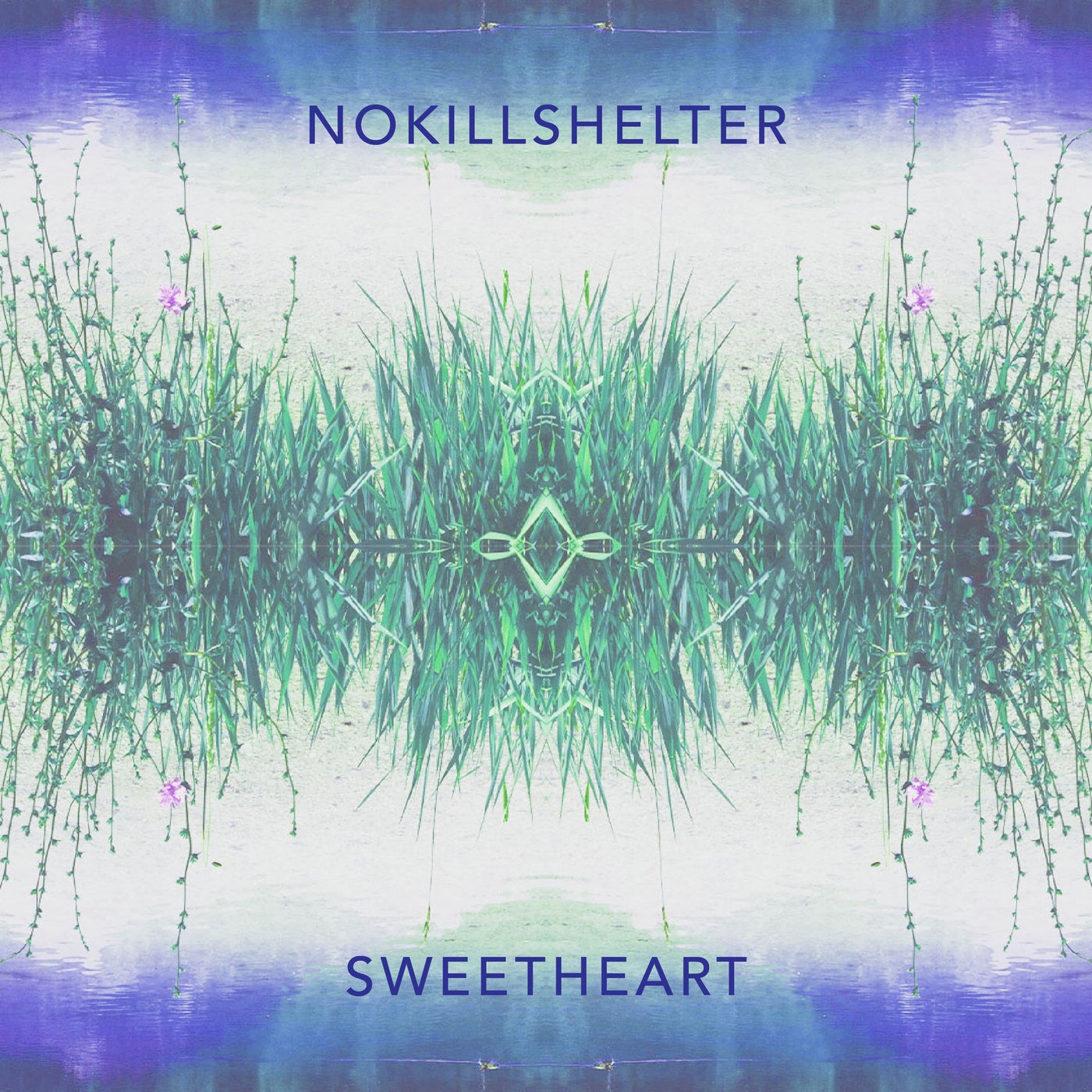 Sweetheart by NoKillShelter and Forrest Mortifee on Beatsource