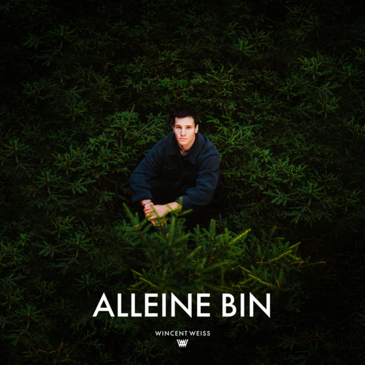 Alleine Bin by Wincent Weiss on Beatsource