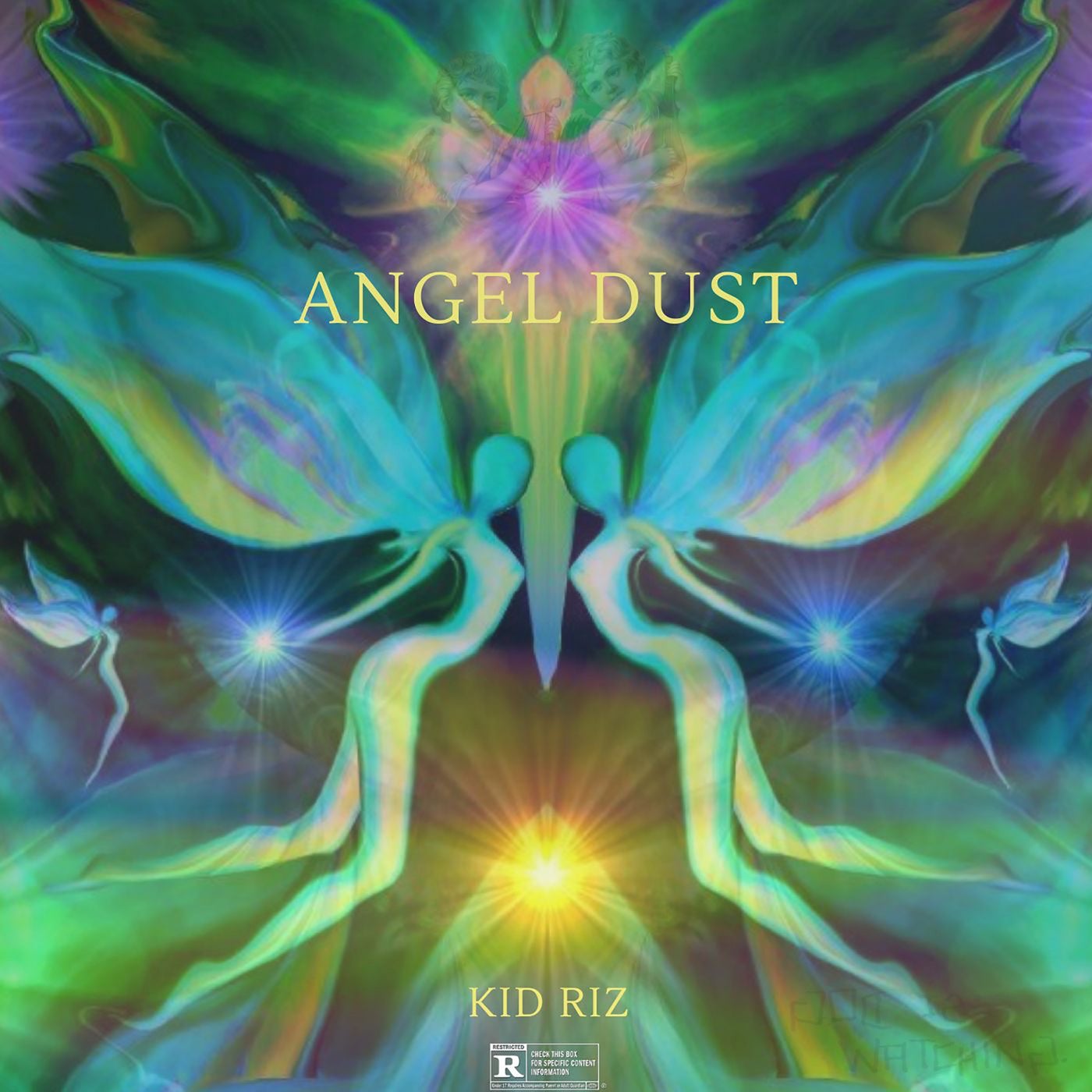 Angel Dust by Kid Riz on Beatsource