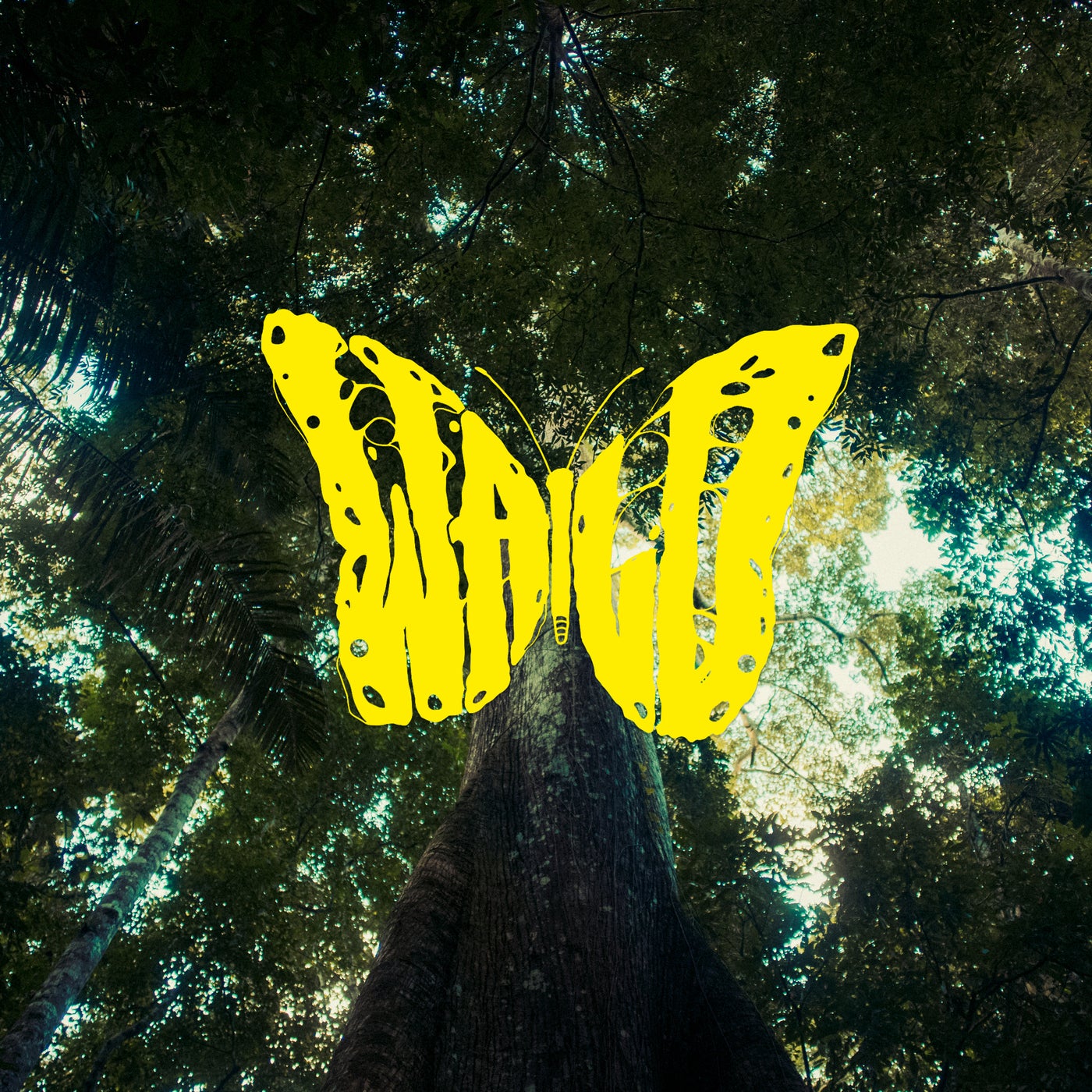 Wald by Marteria and Nobodys Face on Beatsource