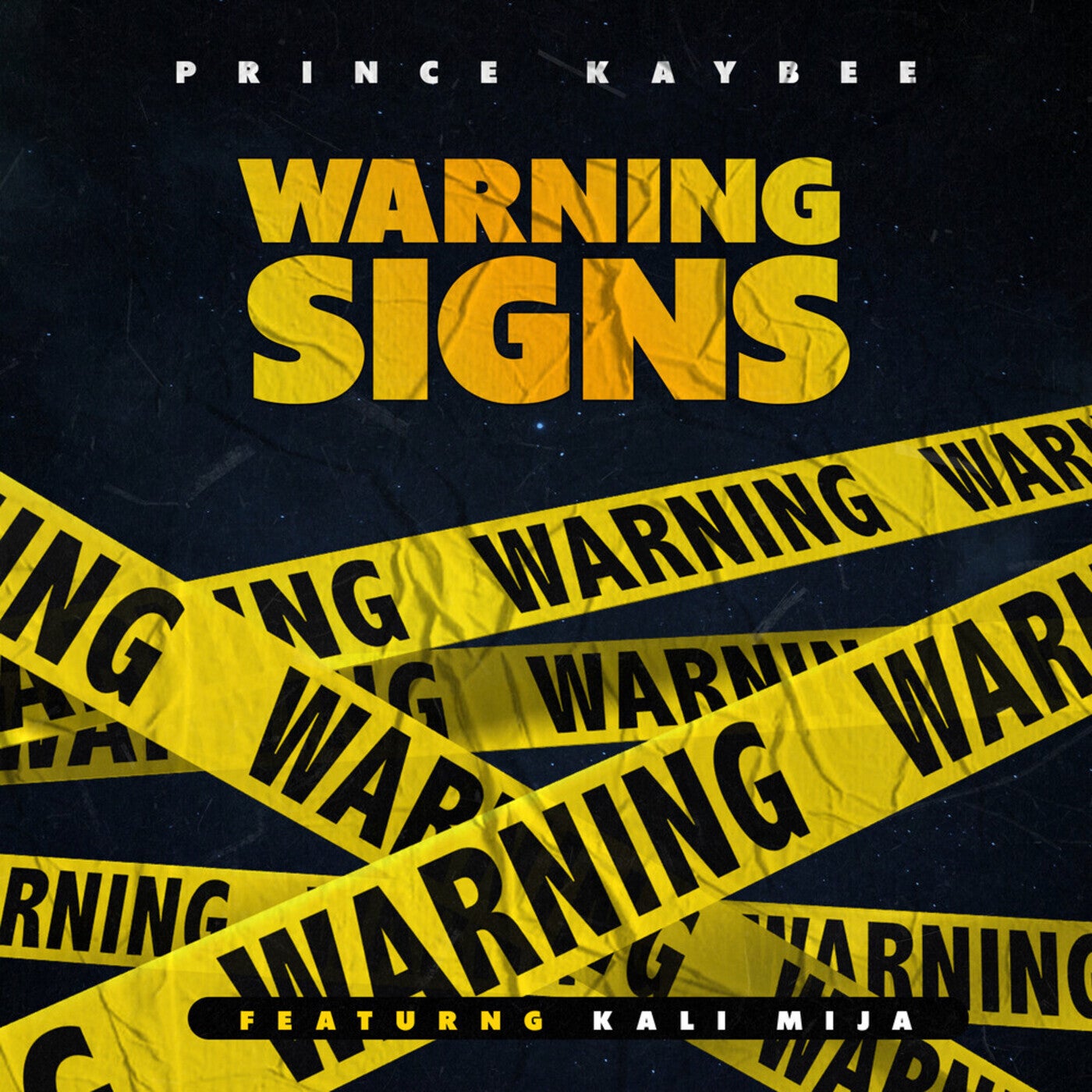 Warning Signs by Prince Kaybee and Kali Mija on Beatsource