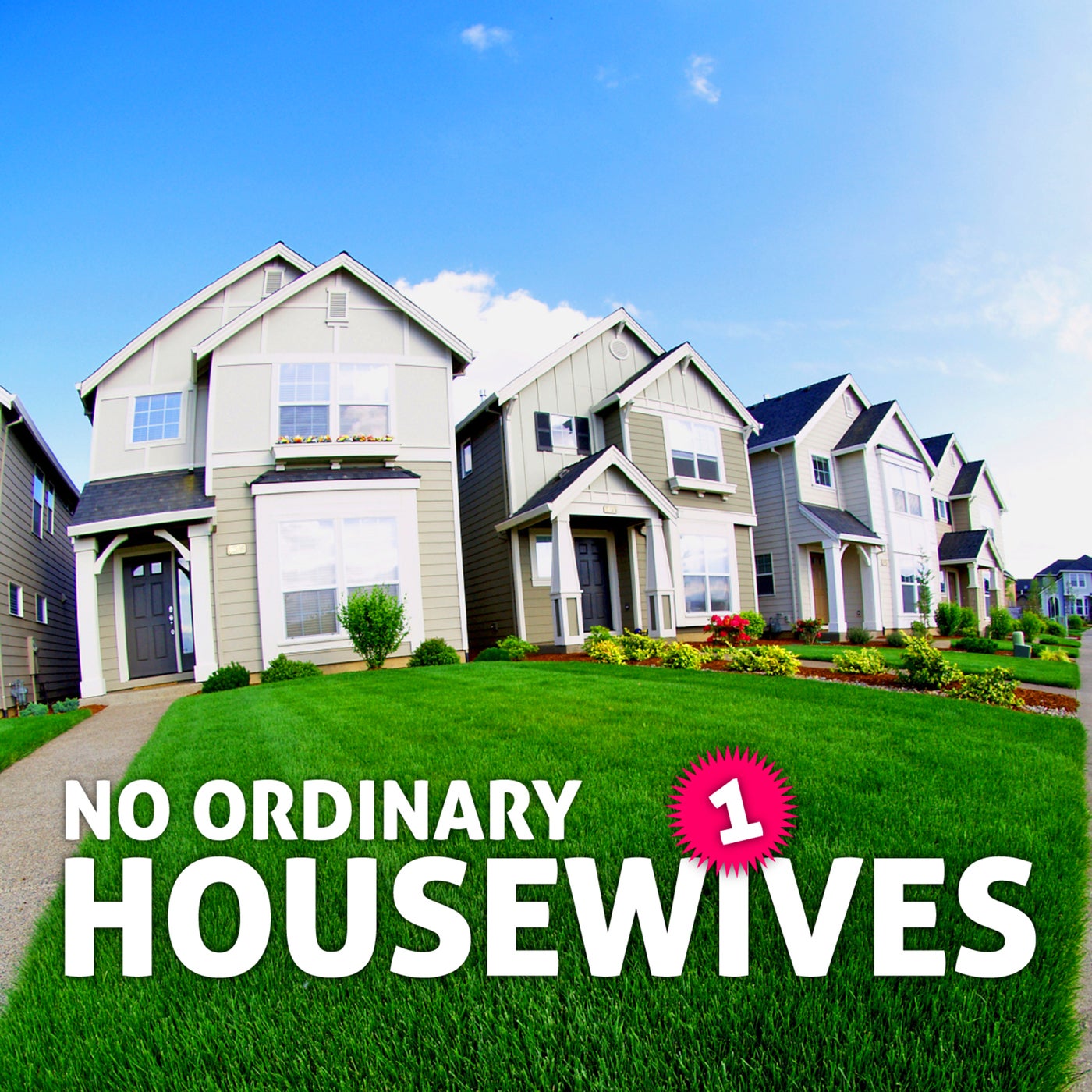 No Ordinary Housewives Vol. 1 by No Ordinary Housewives on Beatsource
