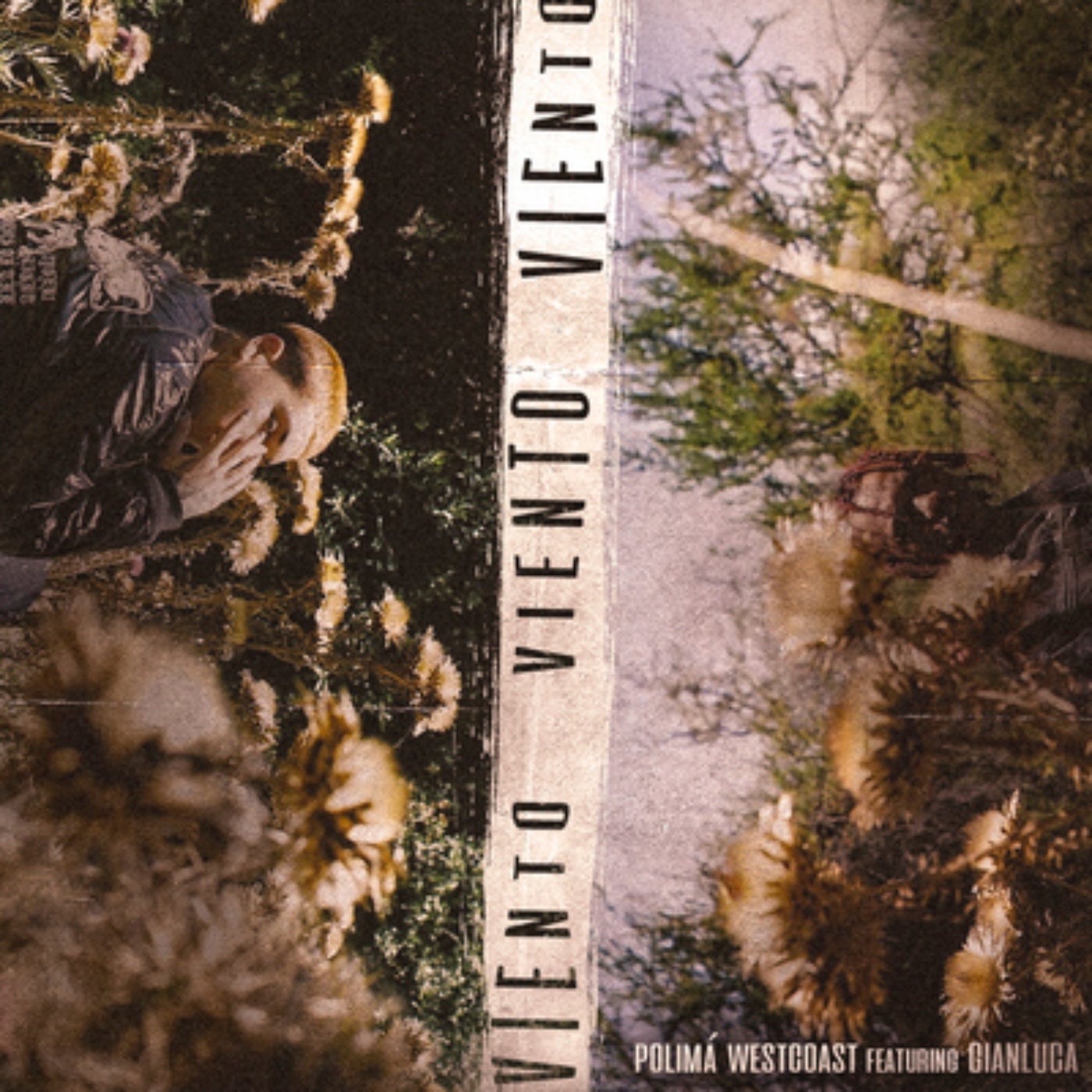 El Viento by Gianluca and Polima Westcoast on Beatsource