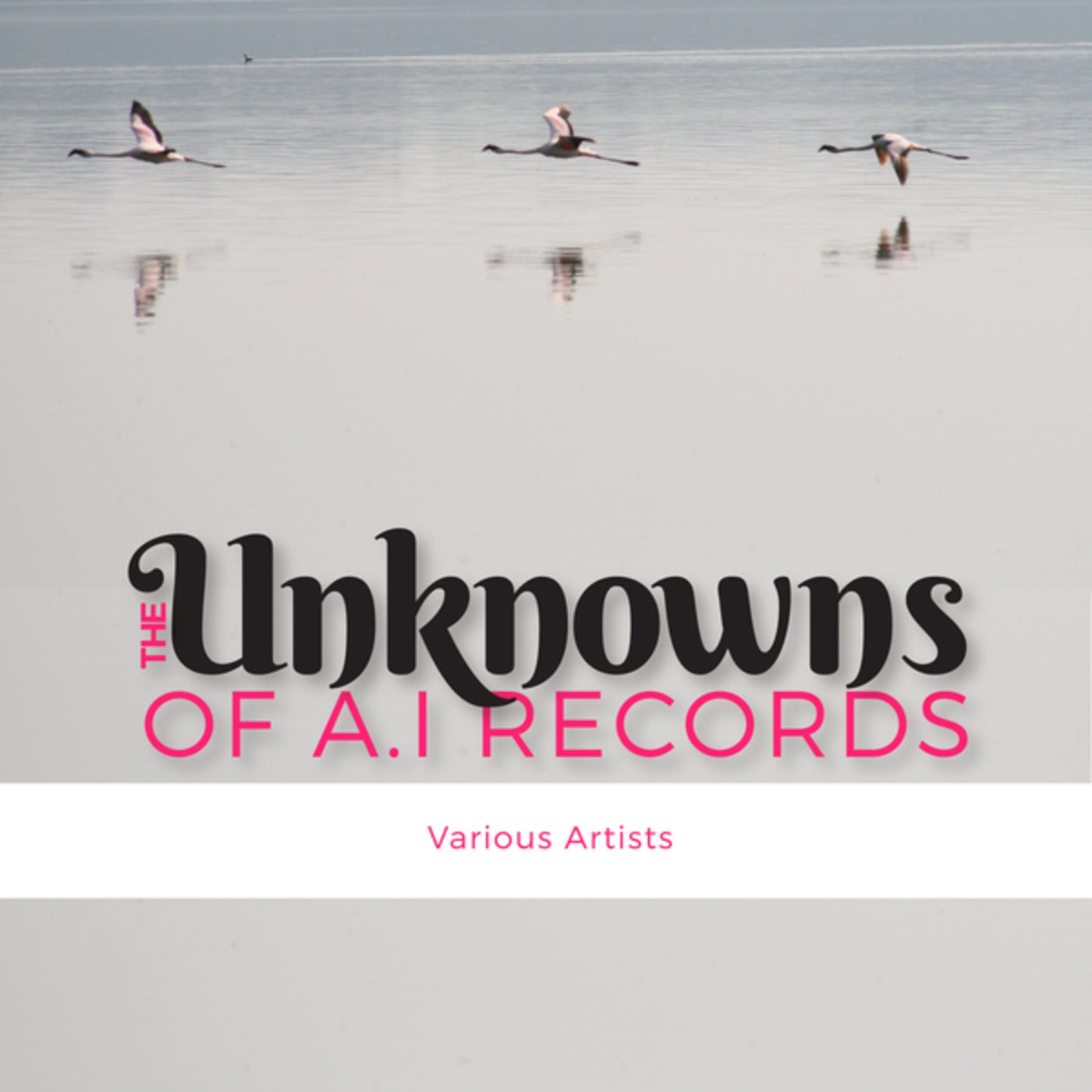 The Unknowns of A.I Records by Mambo Bado, Nelson Mengo, Nightstar ...