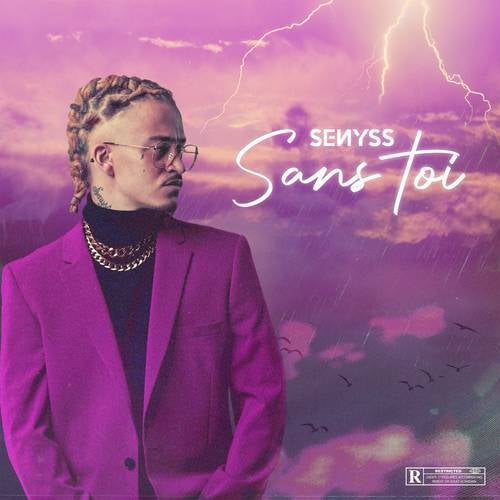 Sans toi by Senyss on Beatsource