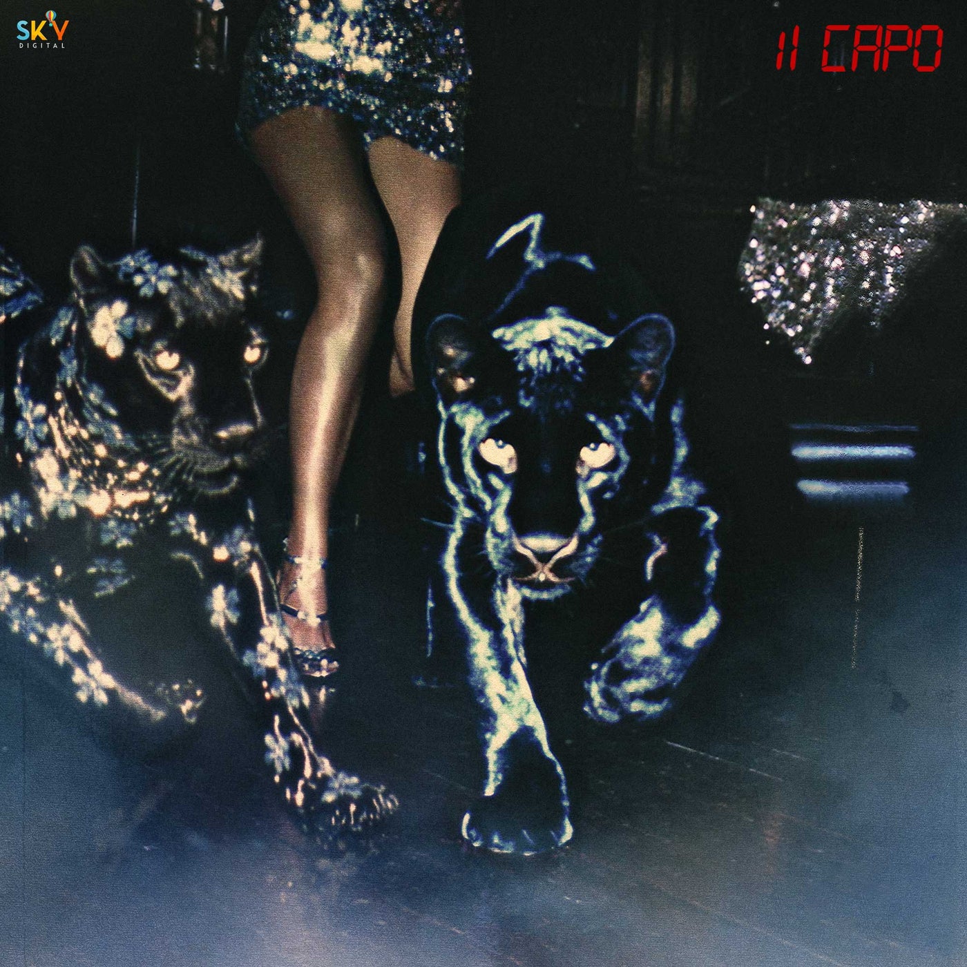Il Capo by Real Boss and Arvin Beatz on Beatsource